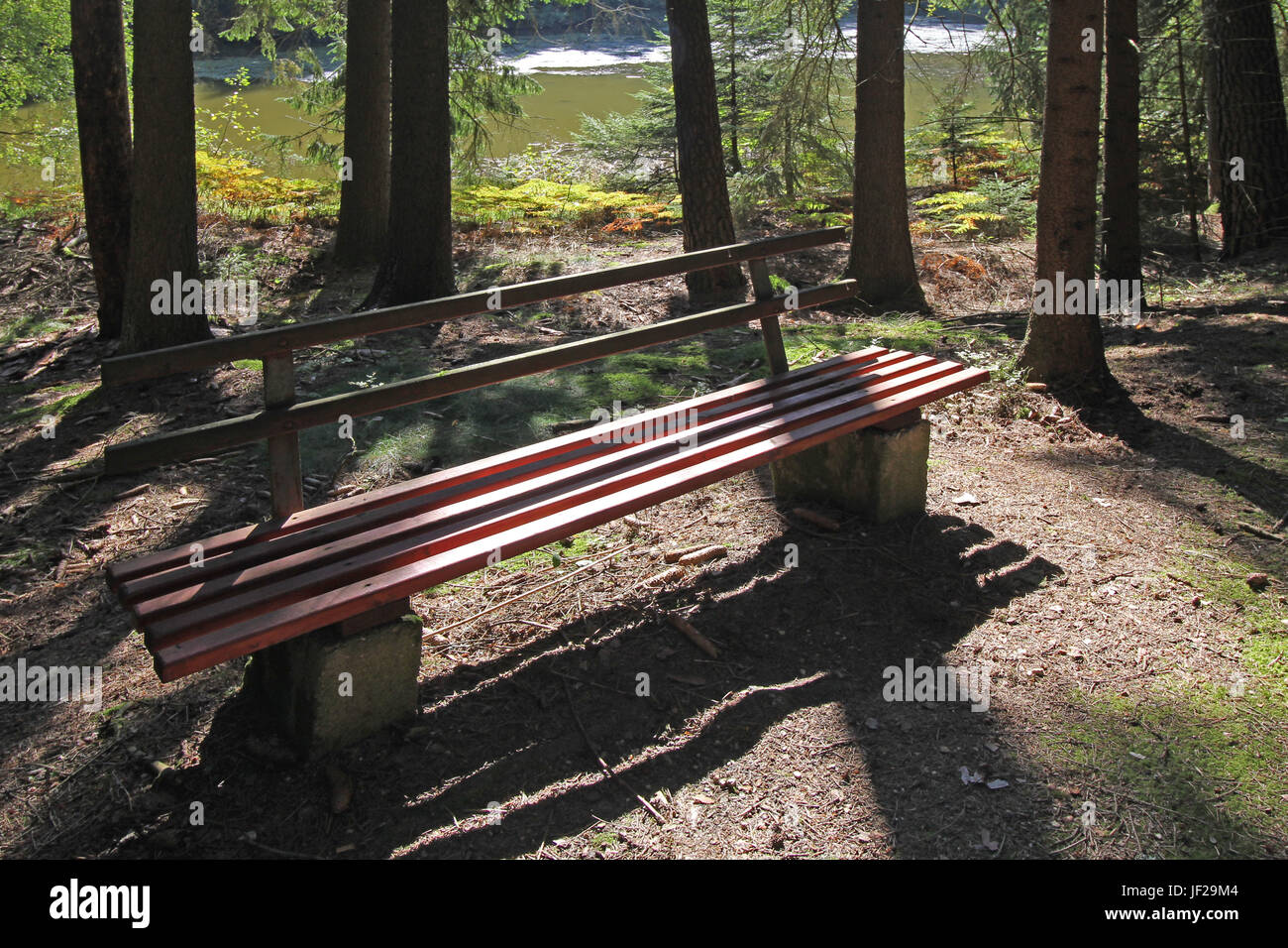 bench in forest Stock Photo - Alamy