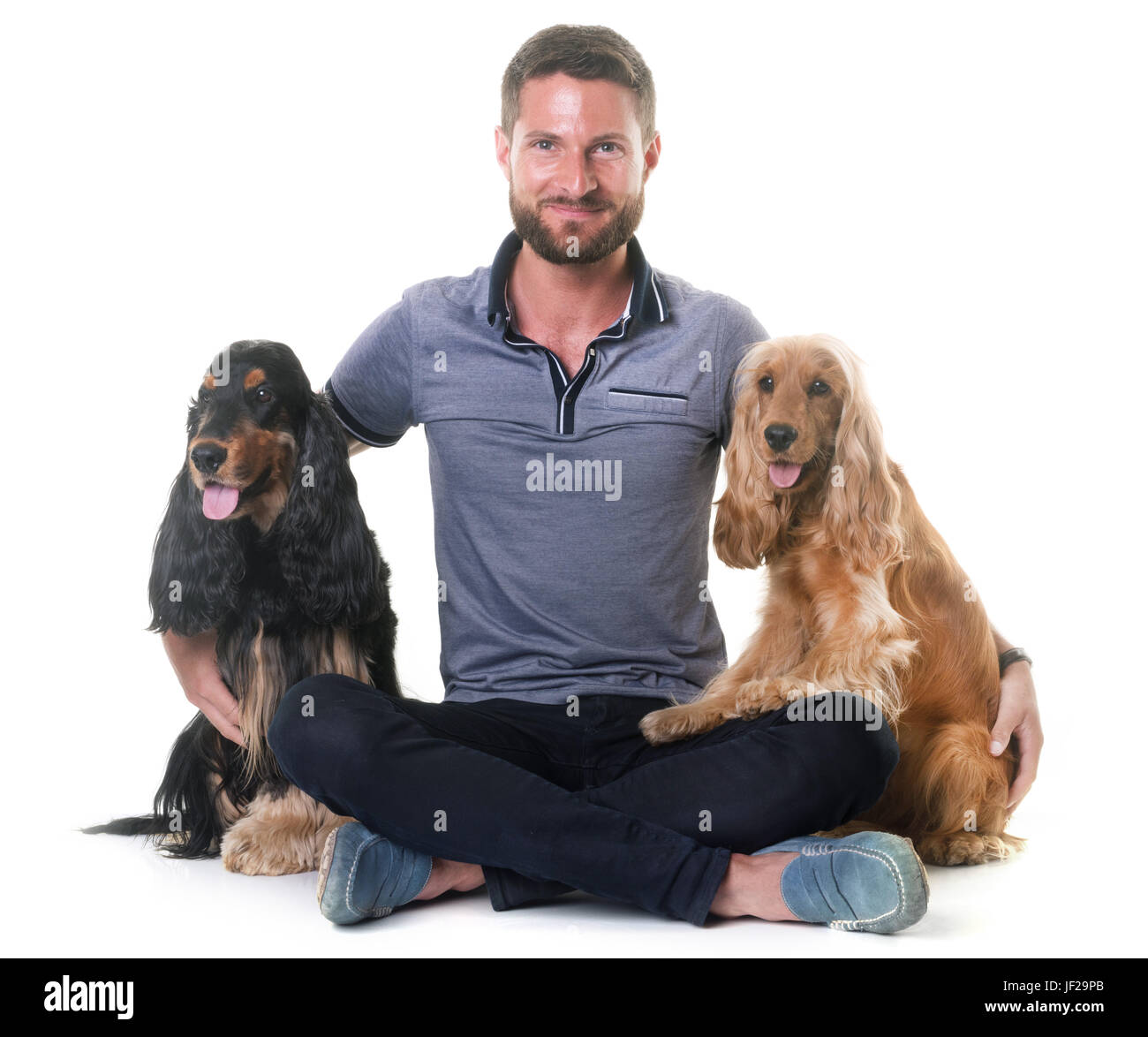 two cocker spaniel and man in front of white background Stock Photo - Alamy