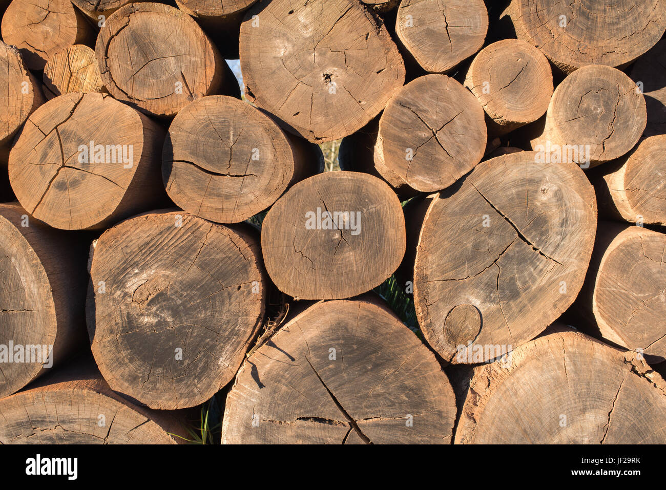 Wooden Logs from the Front Stock Photo - Alamy