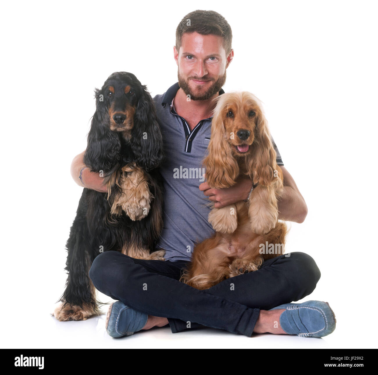 two cocker spaniel and man in front of white background Stock Photo - Alamy