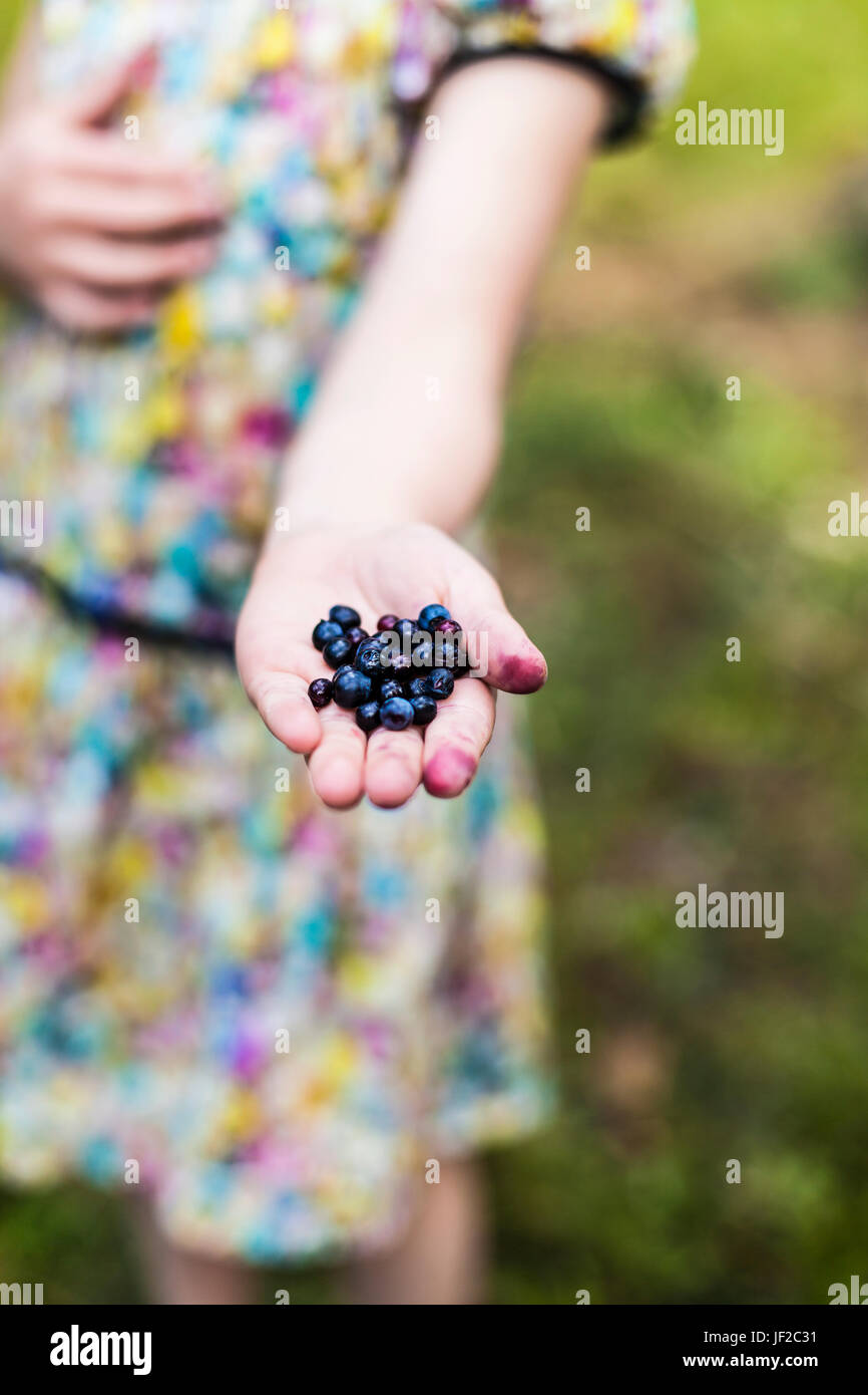 Girls hand with blueberries Stock Photo - Alamy