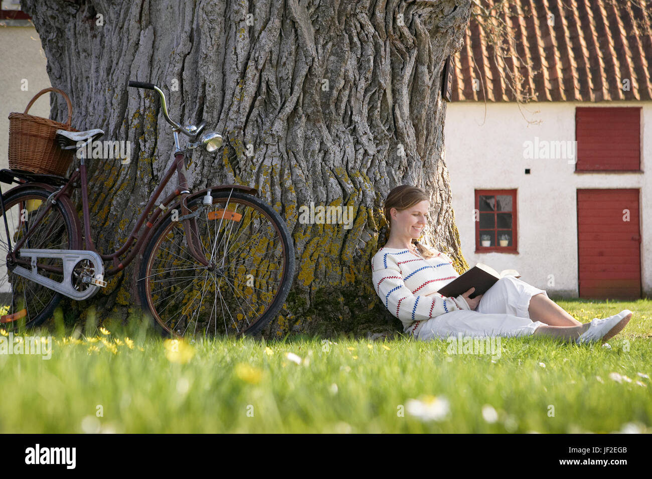 Woman reading book under tree Stock Photo - Alamy