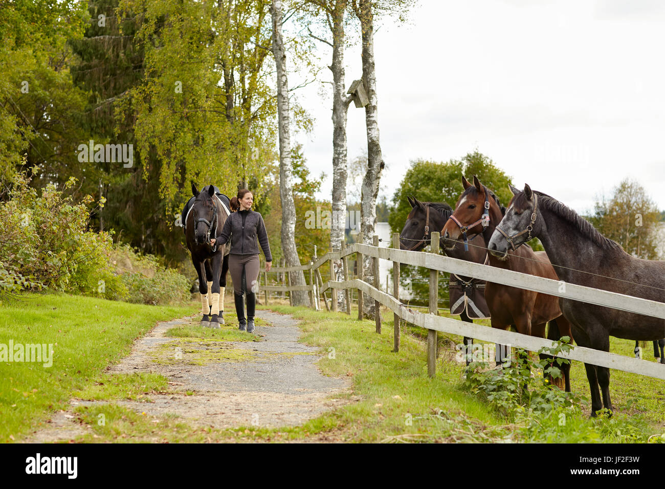 Woman walking with horse Stock Photo - Alamy