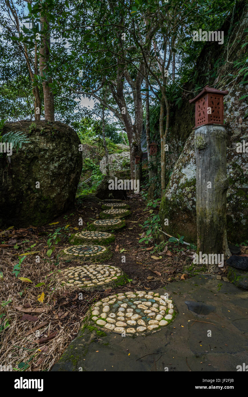 Ground path flanked tall hi-res stock photography and images - Alamy