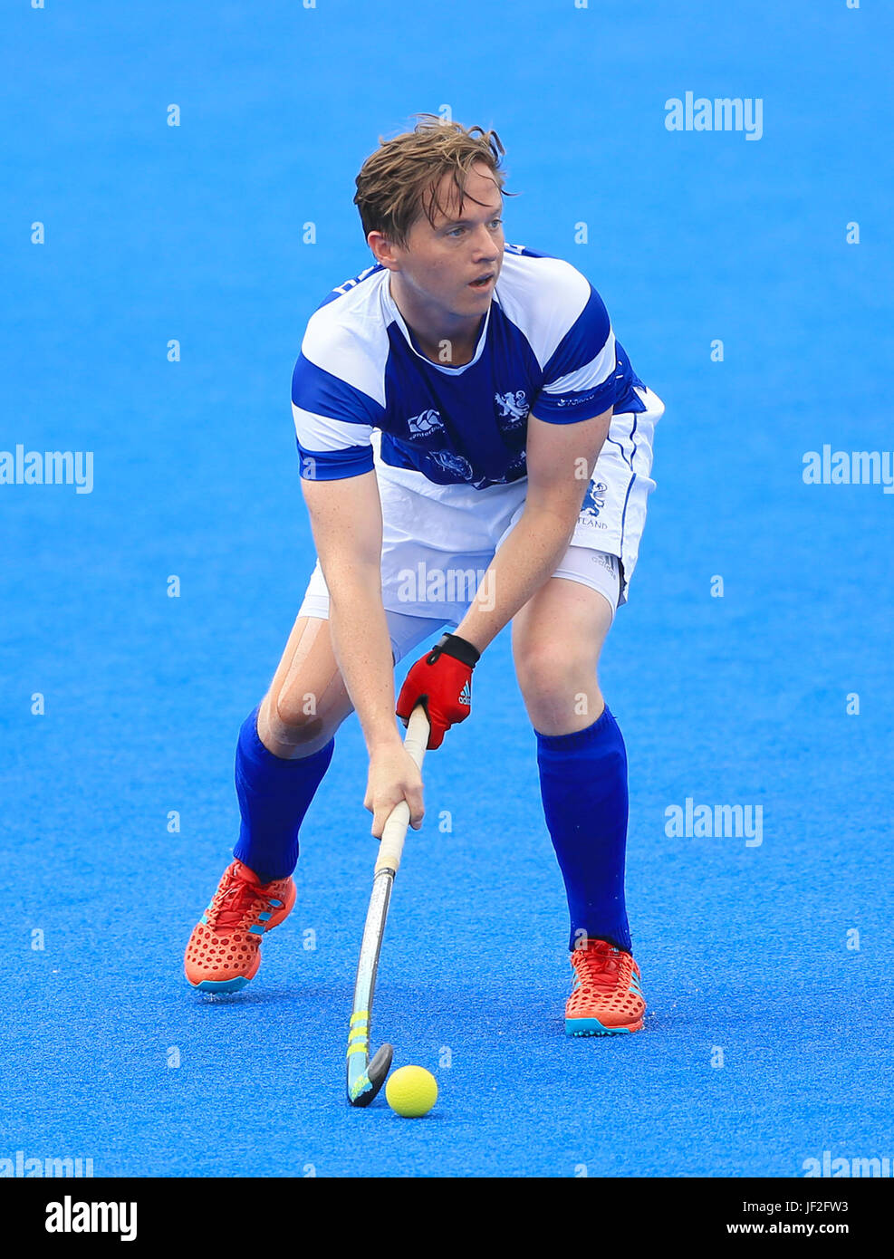 David Forsyth, Scotland Stock Photo - Alamy