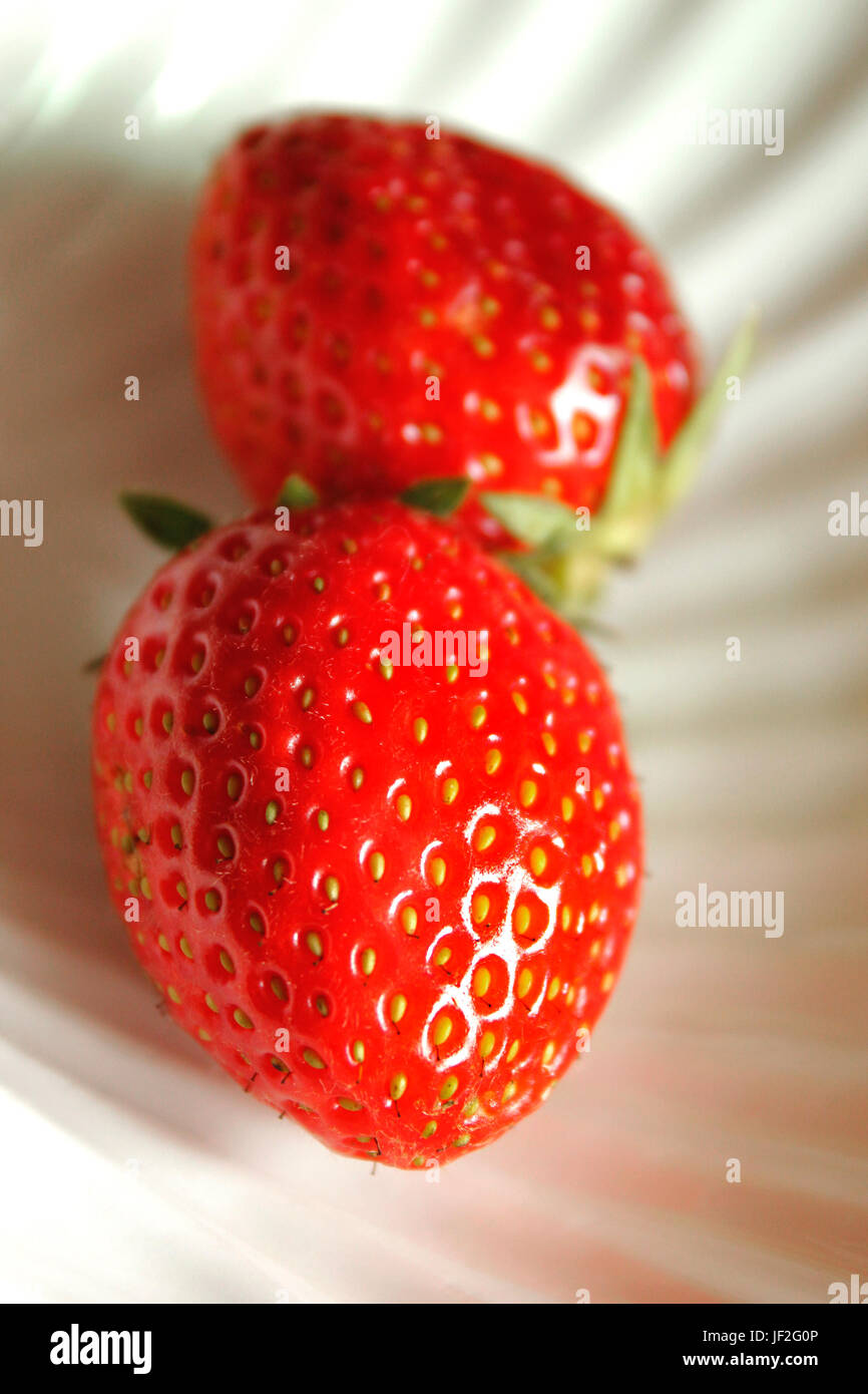 Two juicy freshly picked English strawberries Stock Photo - Alamy