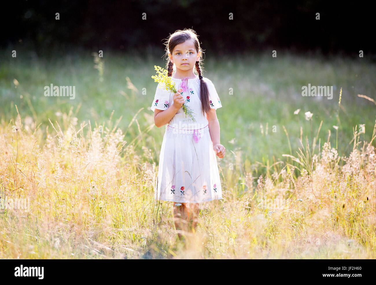 little happy girl with tight braids wearing traditional romanian blouse ...