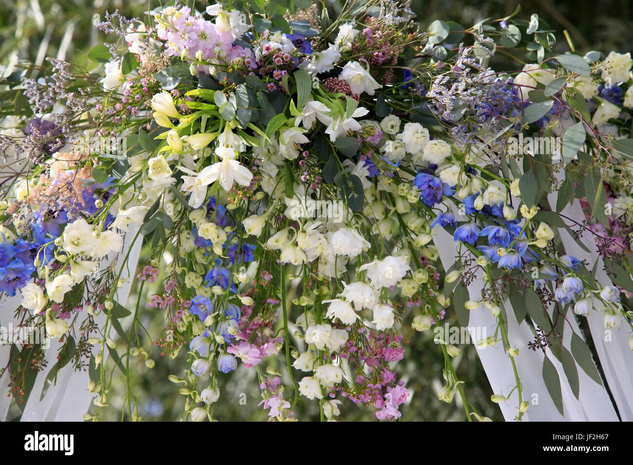 Background of small flowers Stock Photo - Alamy