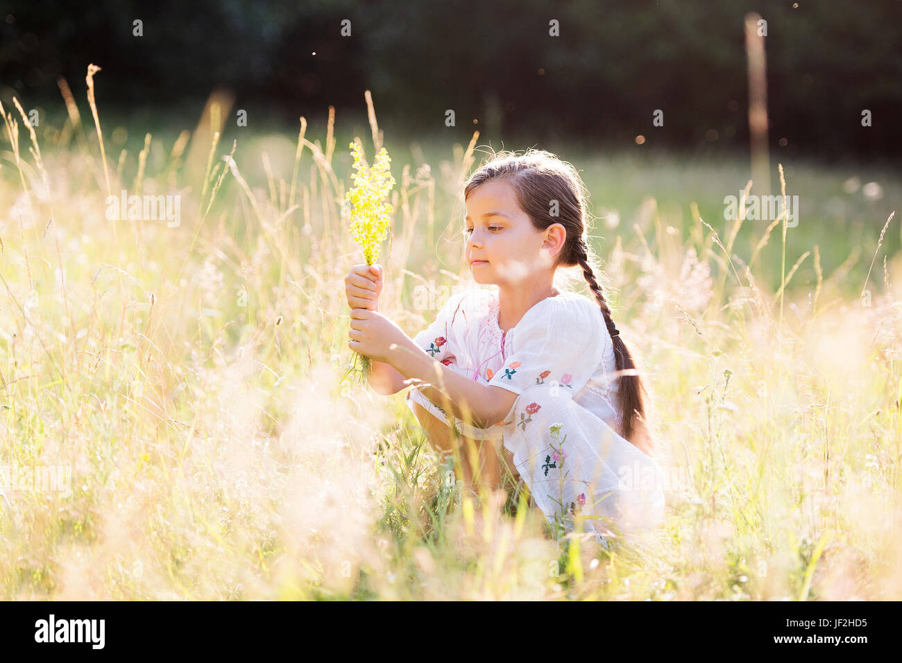 little happy girl with tight braids wearing traditional romanian blouse ...