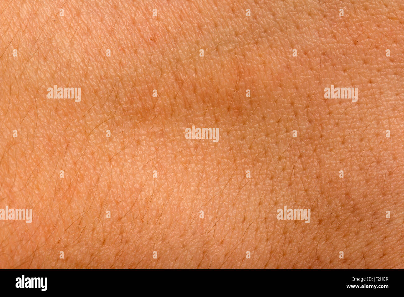 Close Up Objects Stock Photo - Alamy