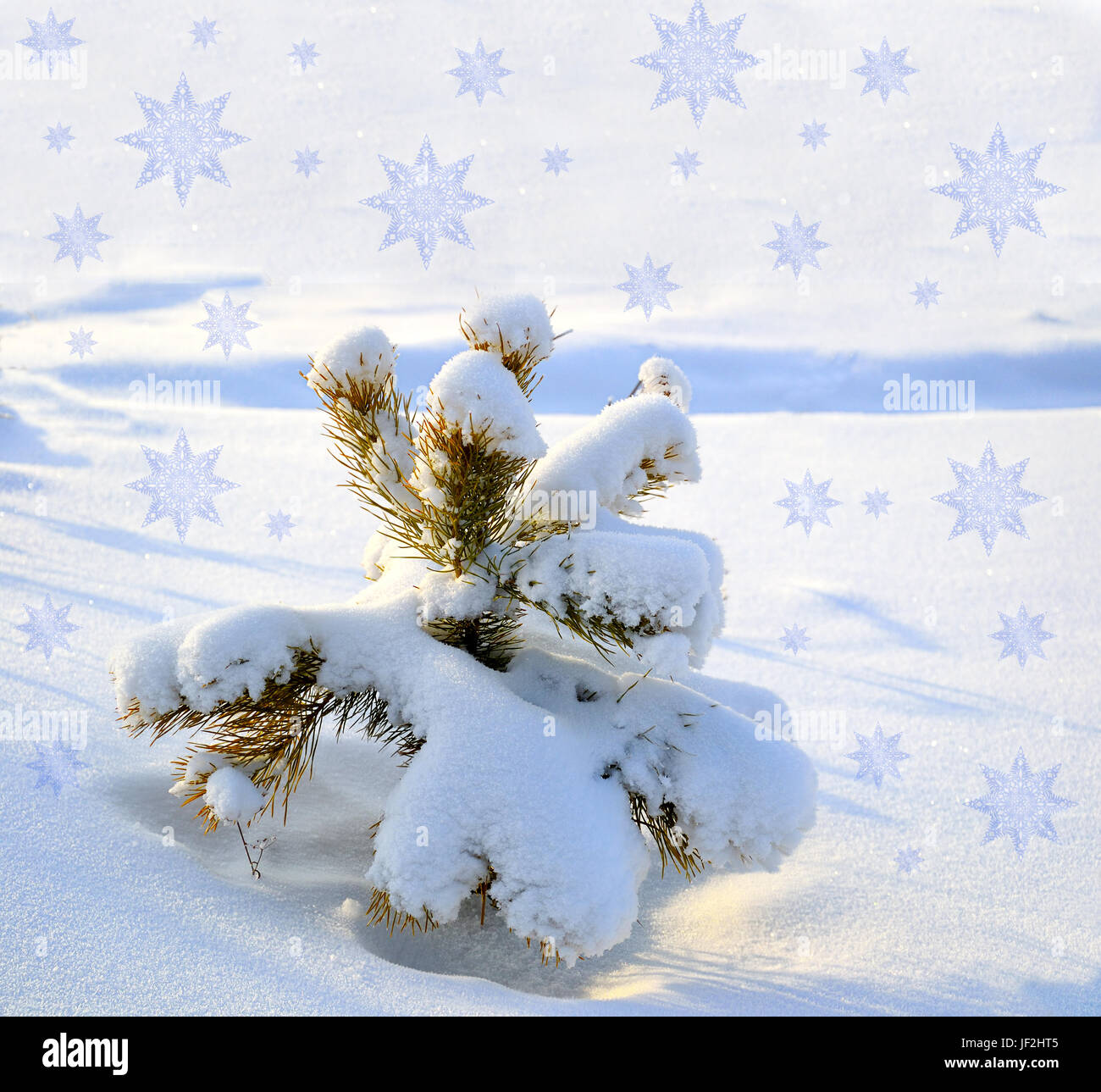 Very little snow hi-res stock photography and images - Alamy
