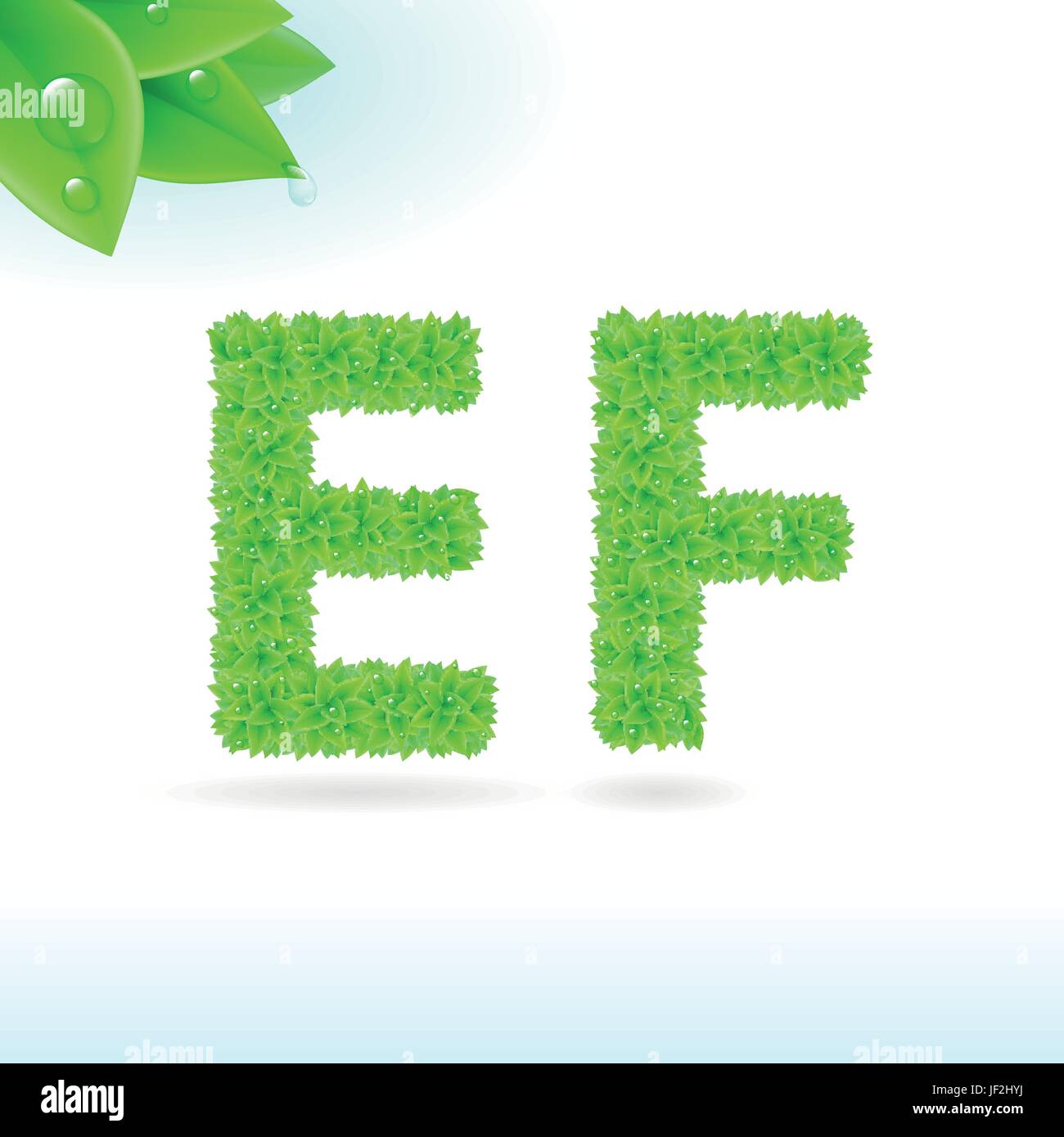 type, write, wrote, writing, writes, model, build, leaf, eco ...