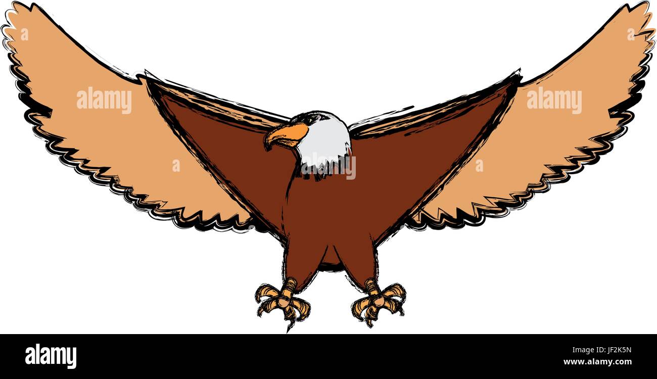 Hawk Beak Vector