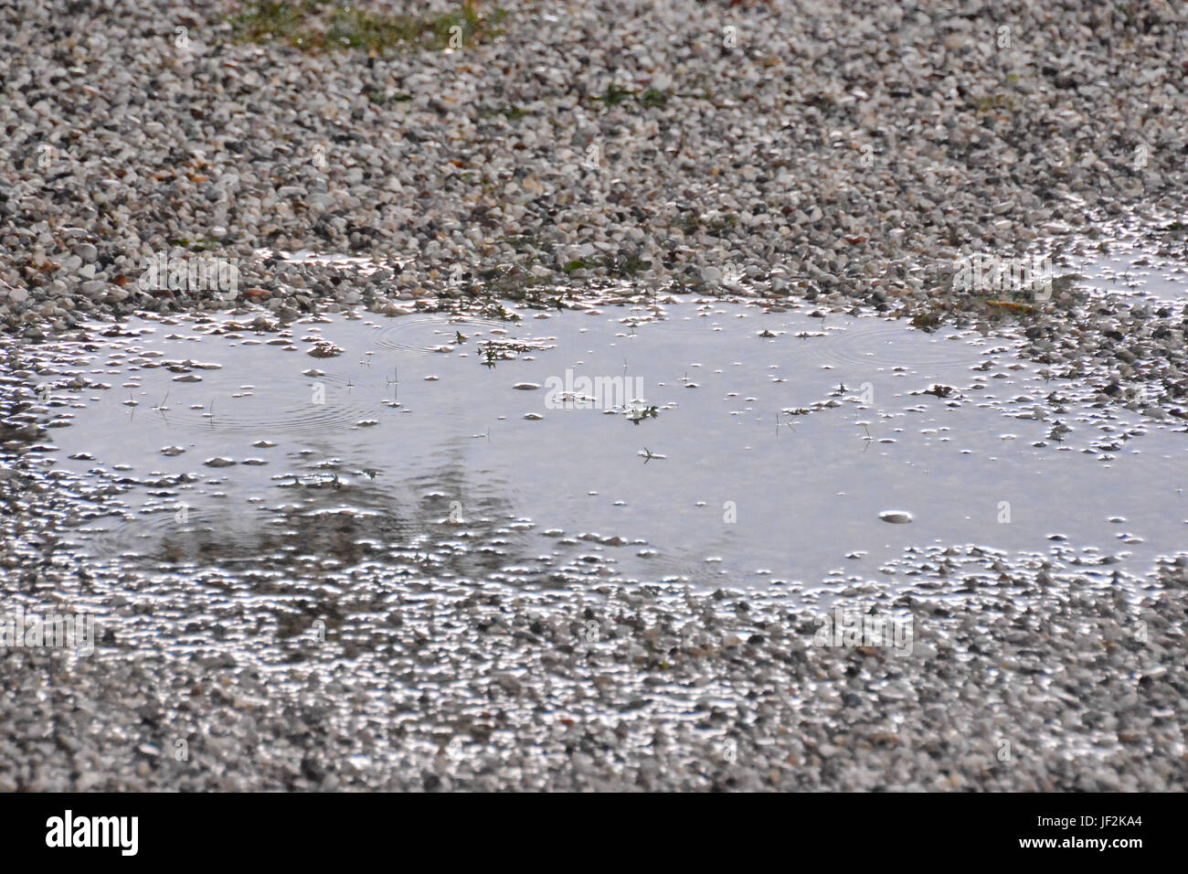 Raindrops puddle hi-res stock photography and images - Alamy