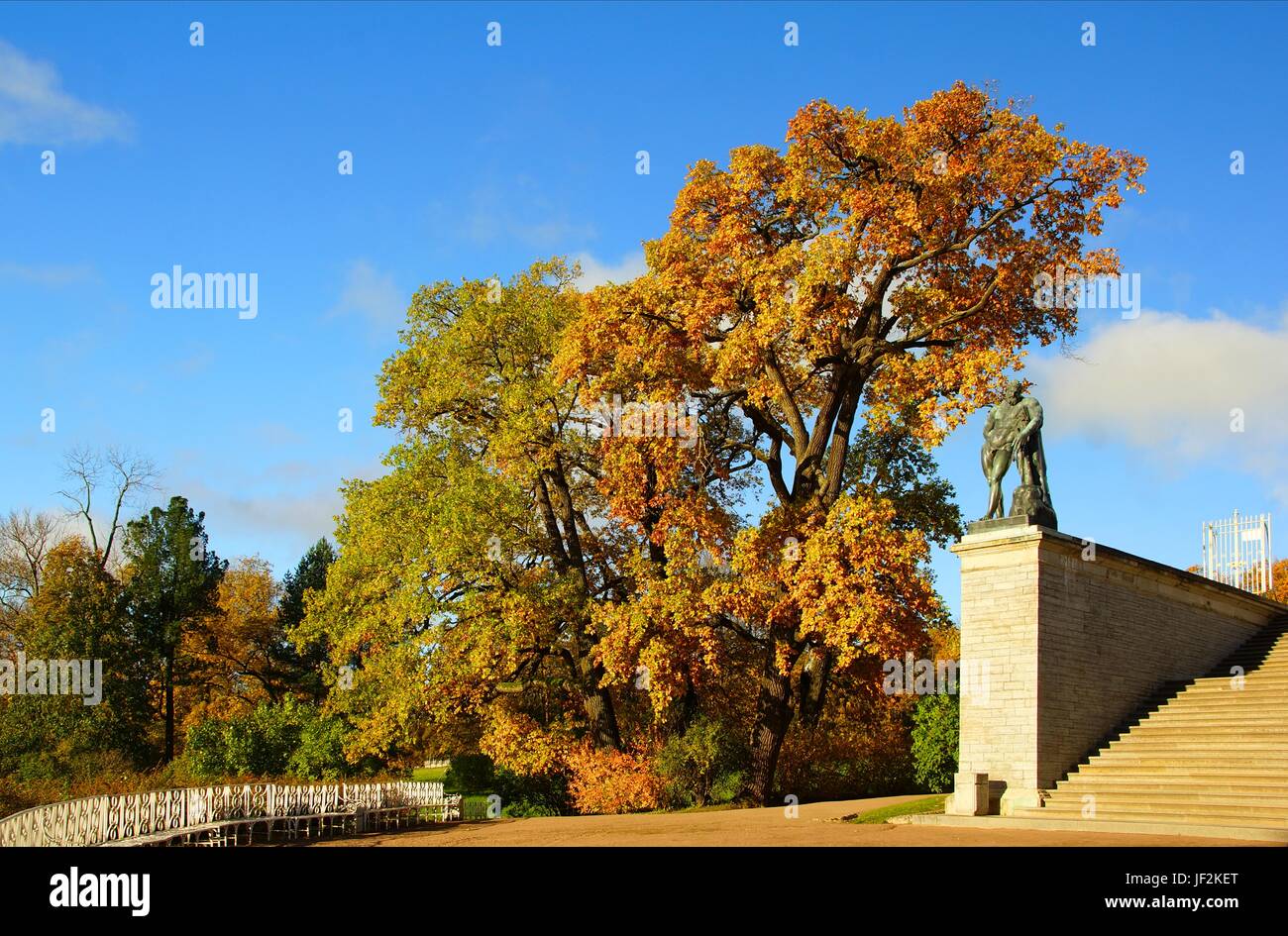 Autumn morning in the Catherine park Stock Photo - Alamy