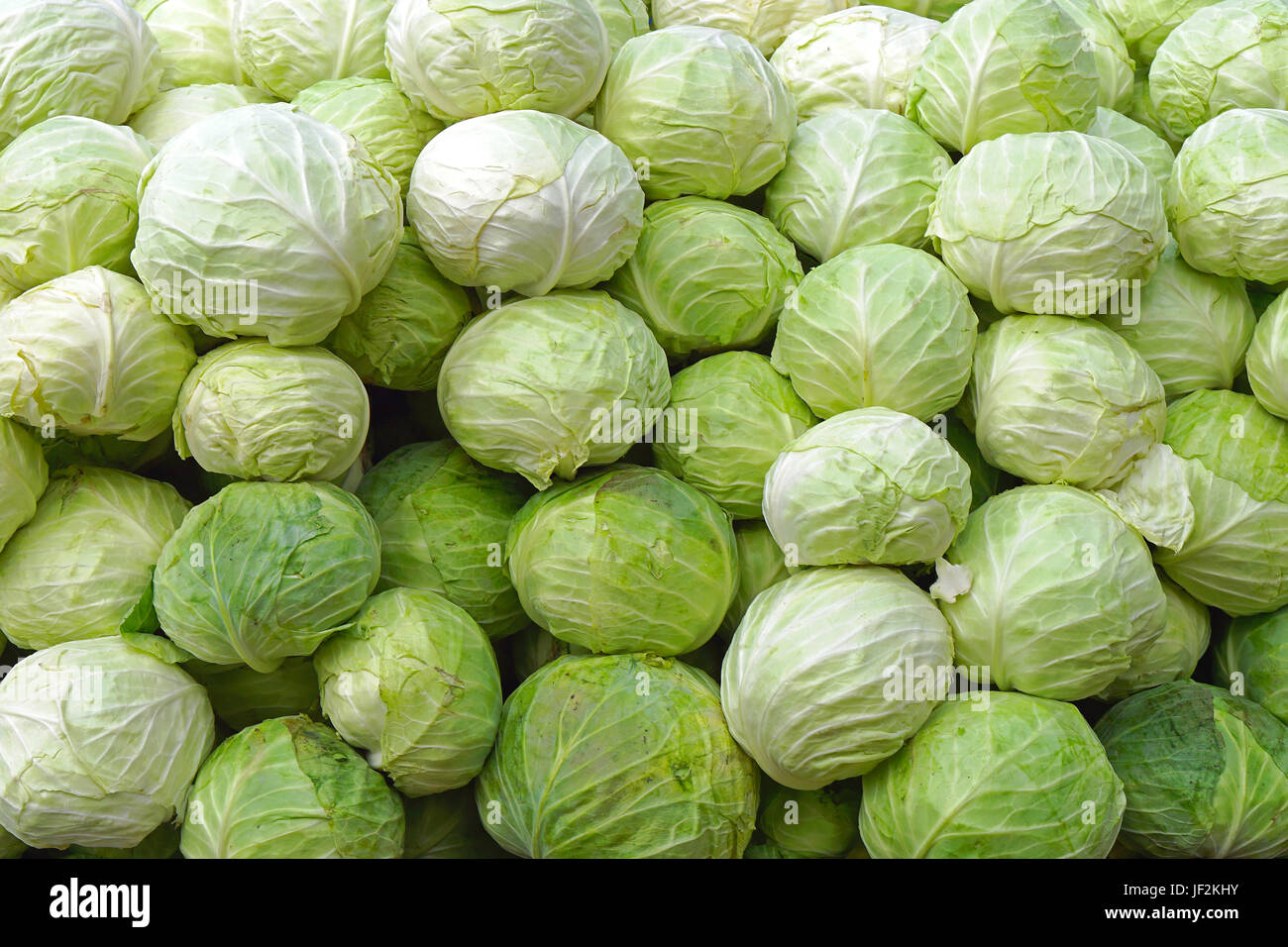 Cabbages hi-res stock photography and images - Alamy