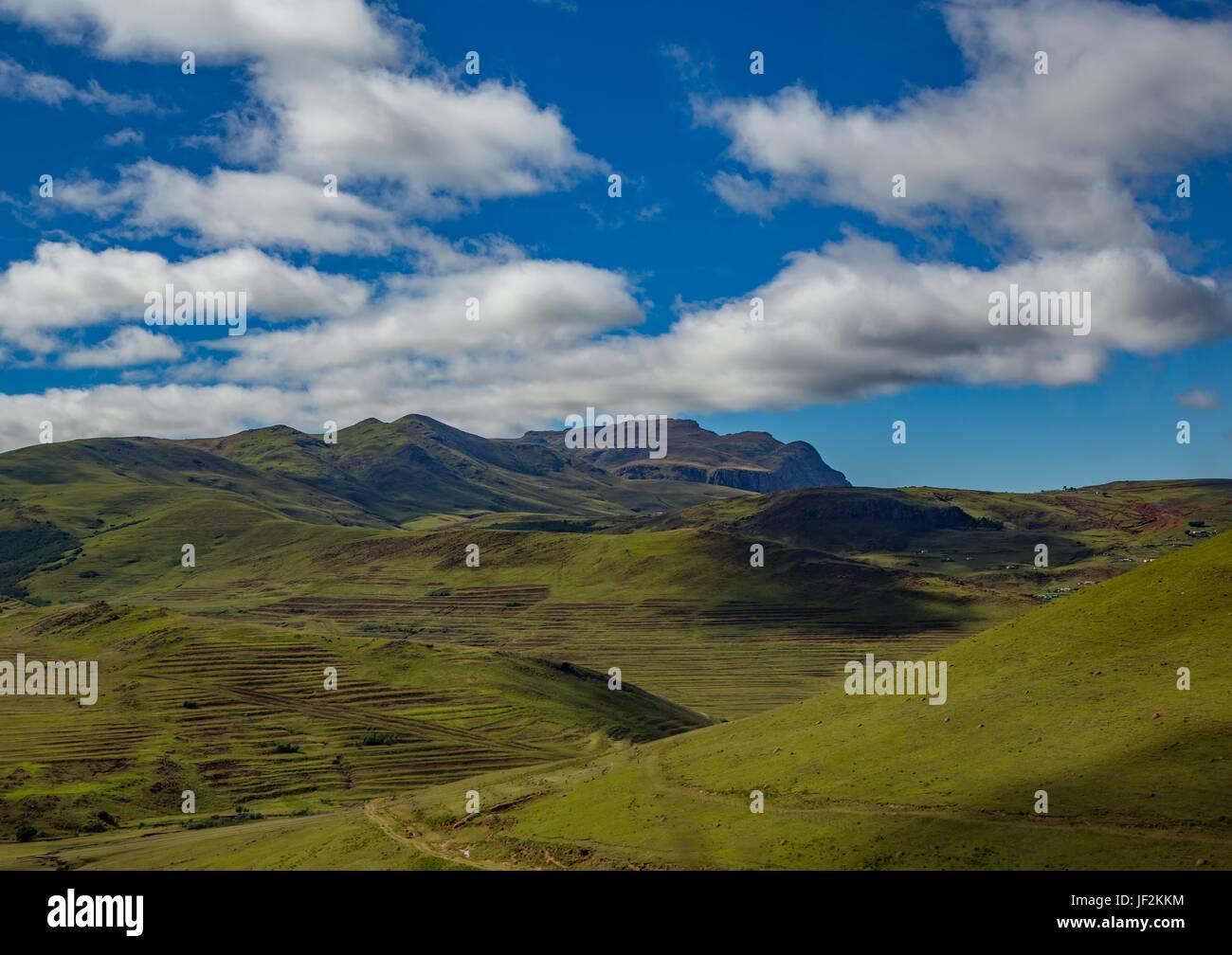 Landscape of the eastern cape of South Africa in sumertime Stock Photo ...