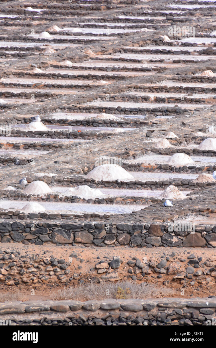 Salt Flat Field Stock Photo - Alamy