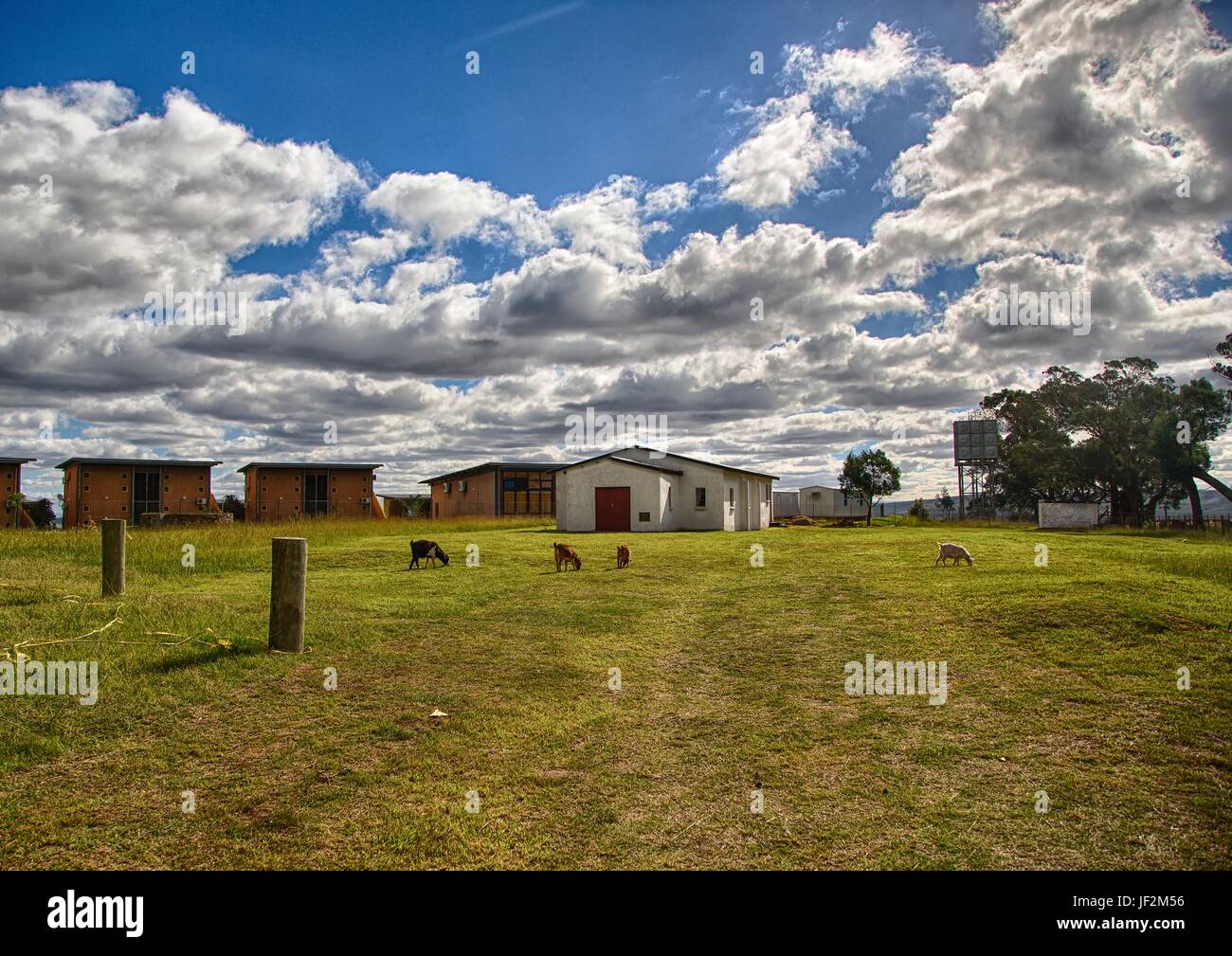 Landscape of the eastern cape of South Africa in sumertime Stock Photo ...