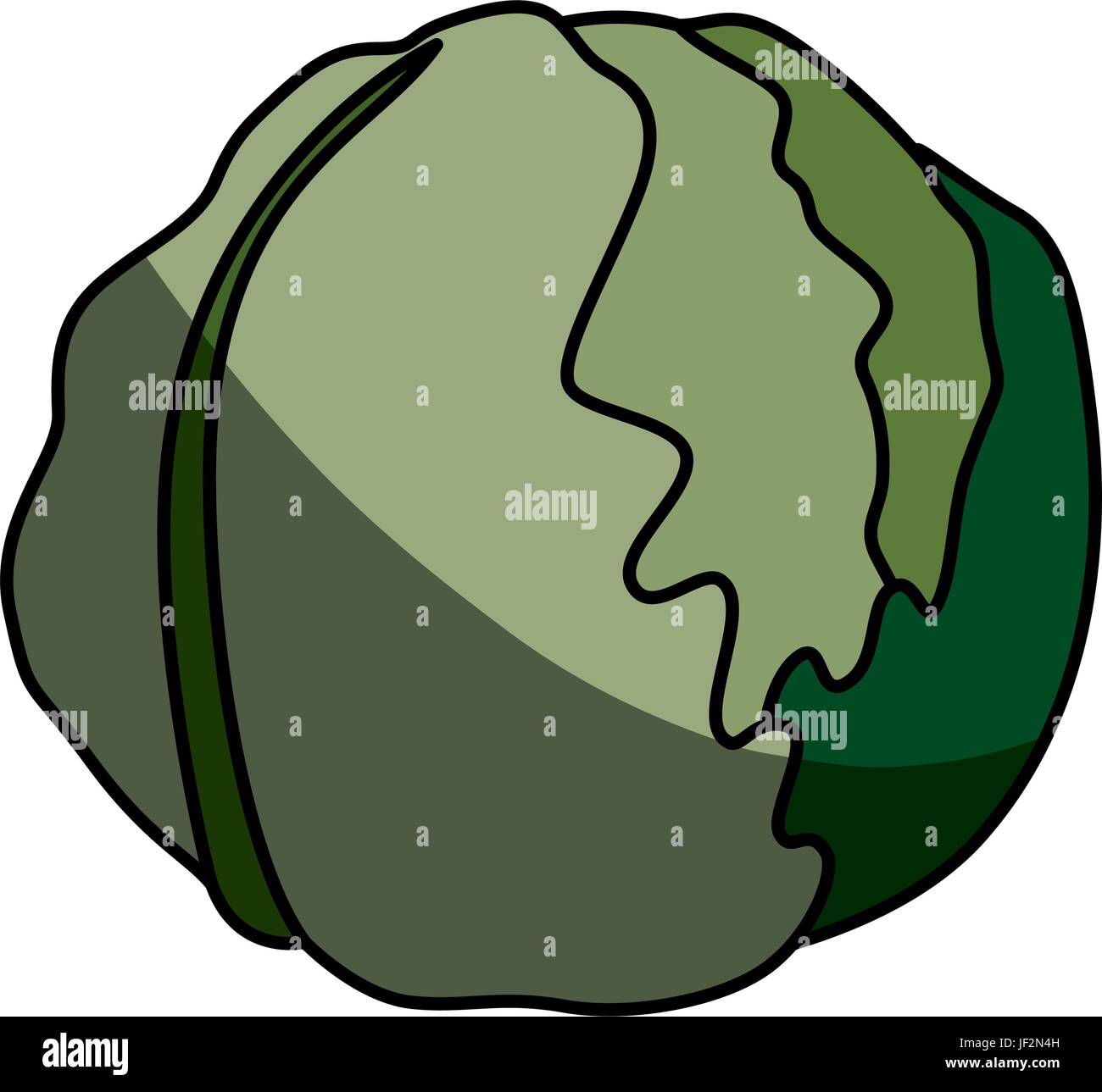 Prepared lettuce Stock Vector Images - Alamy