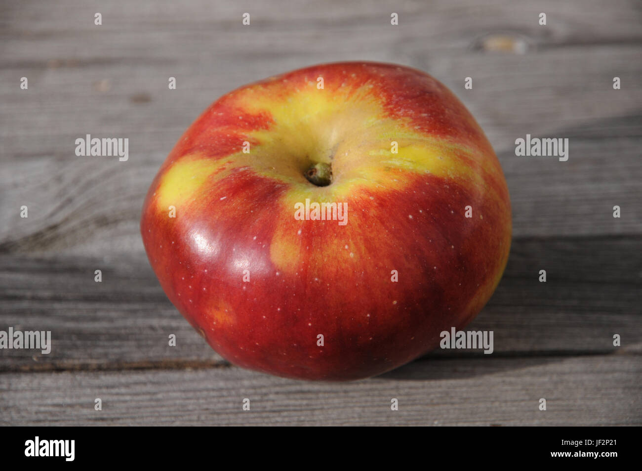 Rambur High Resolution Stock Photography and Images - Alamy