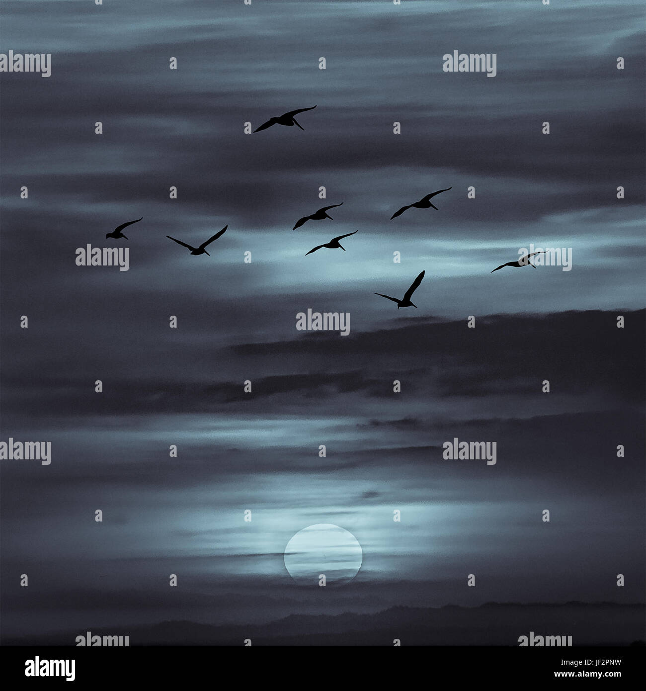 Moonlight Nightscape Scene Illustration Stock Photo - Alamy