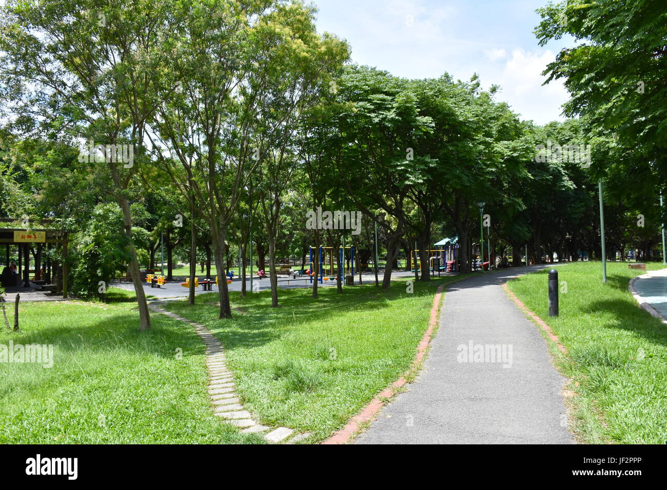 Beautiful green trees in a huge park and a path that I often go jogging ...