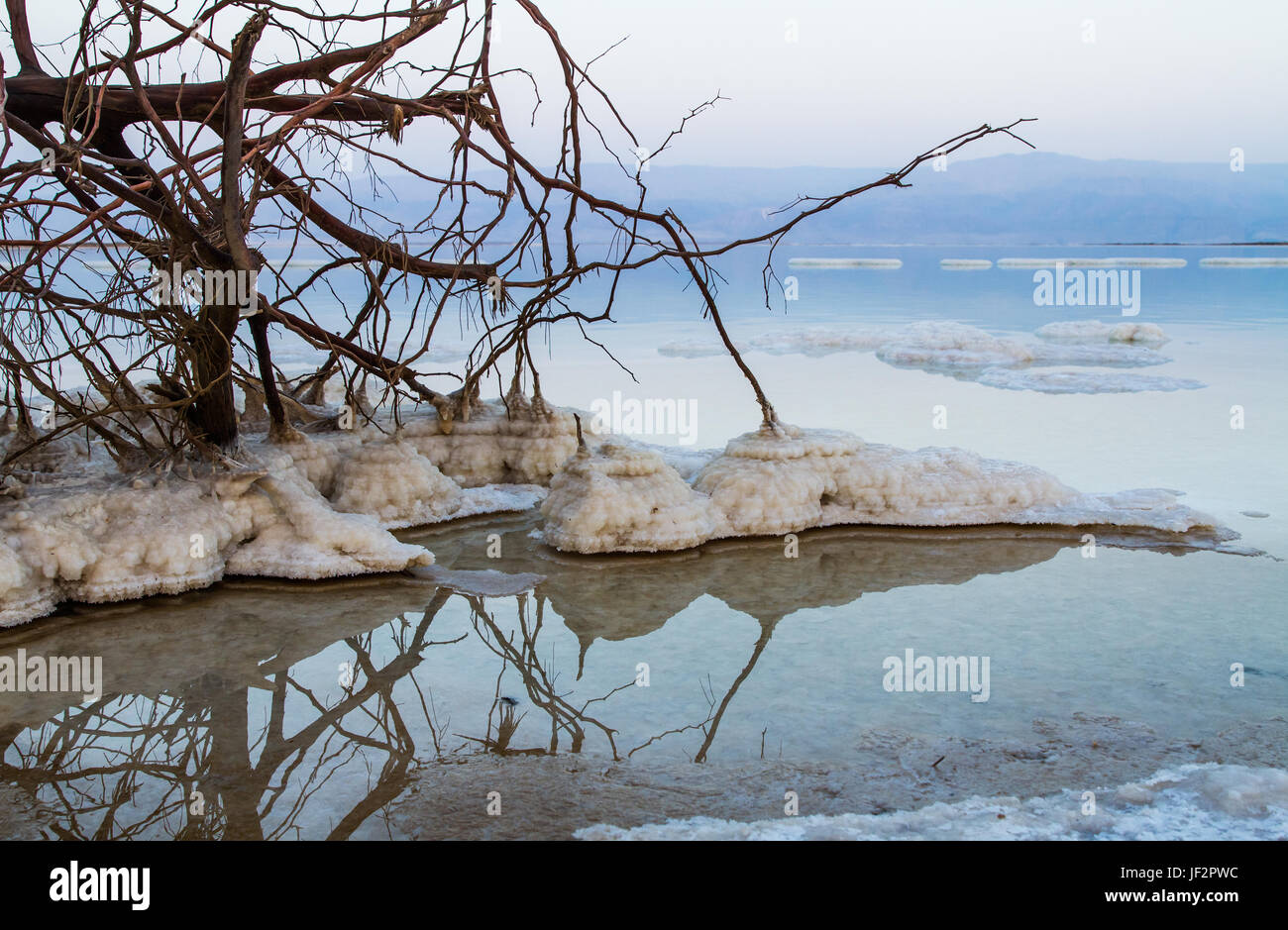 Beautiful coast of the Dead Sea Stock Photo - Alamy