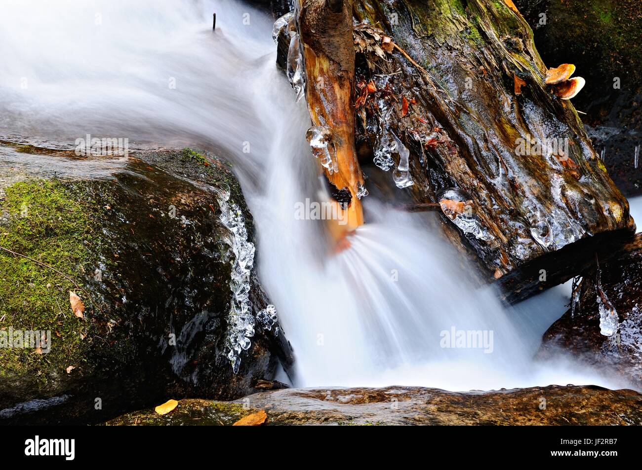 Wood in cold running water Stock Photo - Alamy