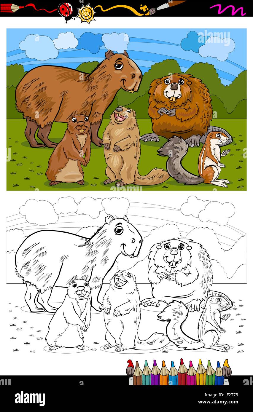 animals, illustration, beaver, cartoon, group, gopher, education, comic ...
