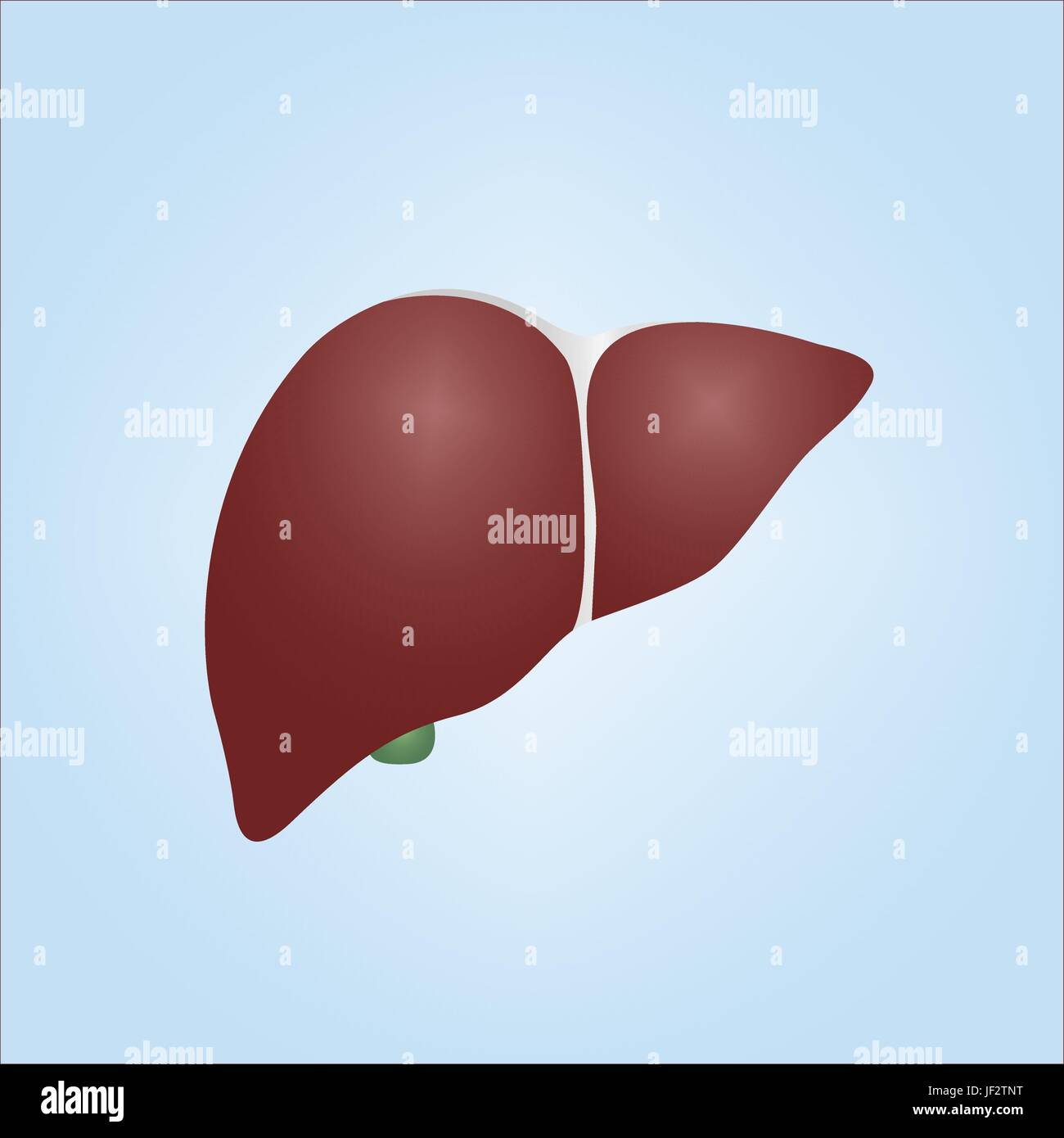 Normal human being Stock Vector Images - Alamy