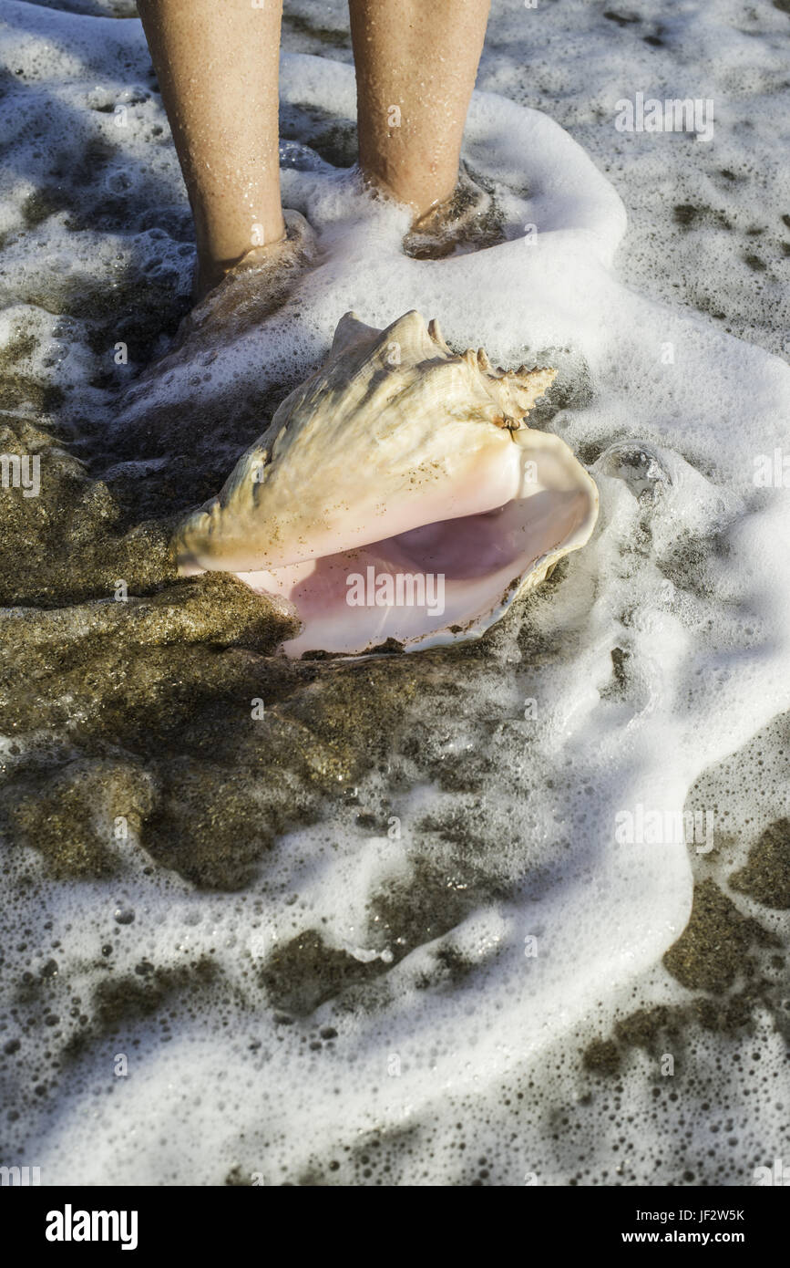 Foots in water hi-res stock photography and images - Alamy