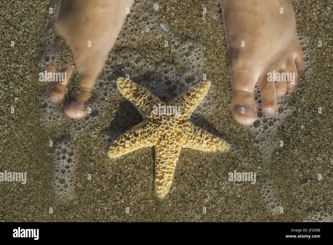 Starfish and feet on the beach Stock Photo - Alamy