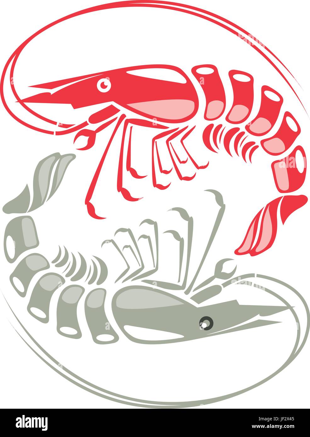 Pink shrimp live Stock Vector Images - Alamy