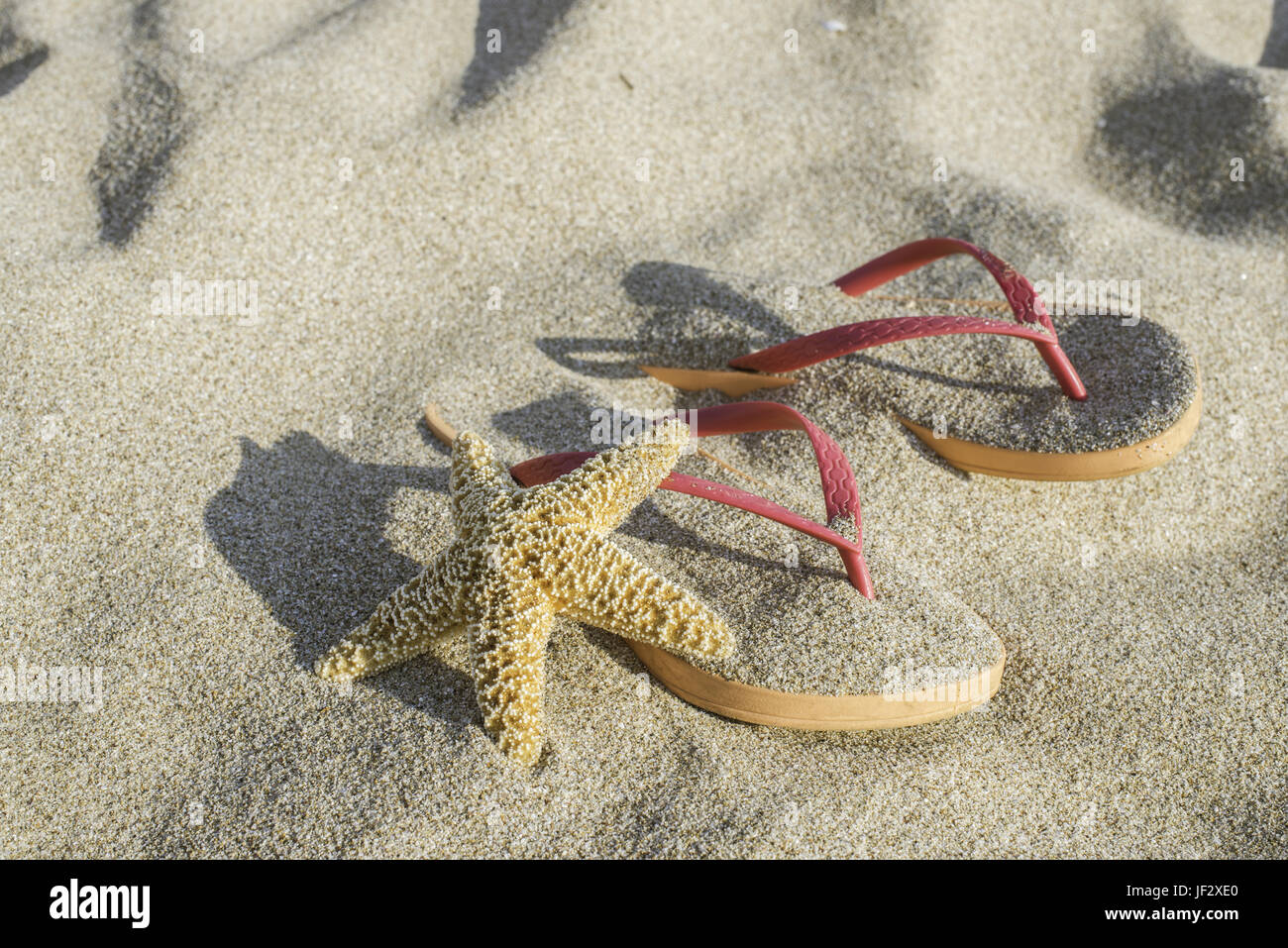 Sandals on the beach in the sand Stock Photo - Alamy
