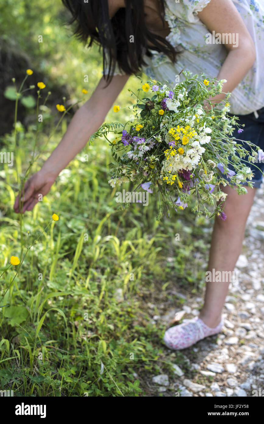Woman collects wild flowers Stock Photo - Alamy