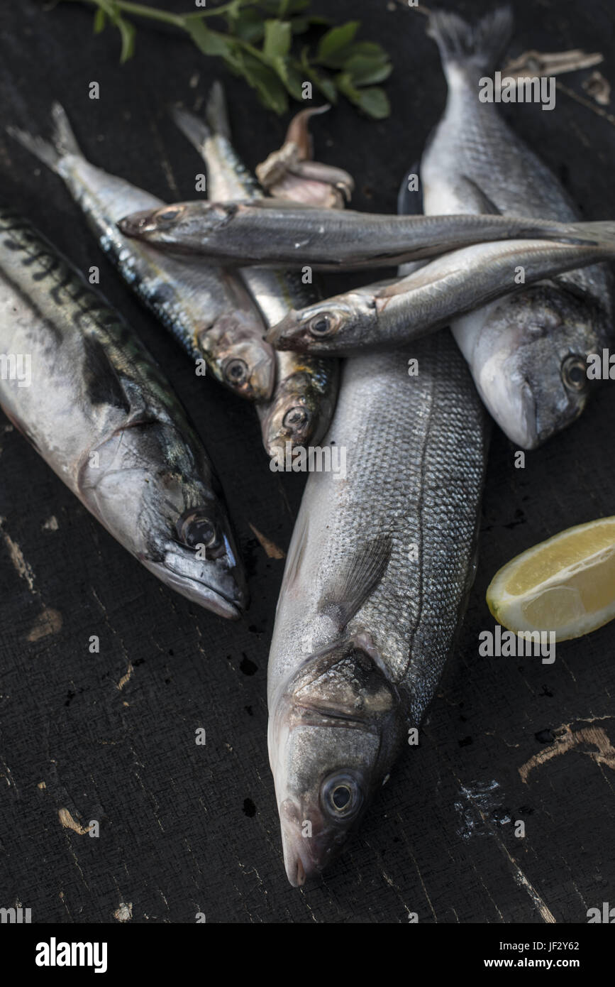 Sea bream, sea bass, mackerel and sardines Stock Photo - Alamy