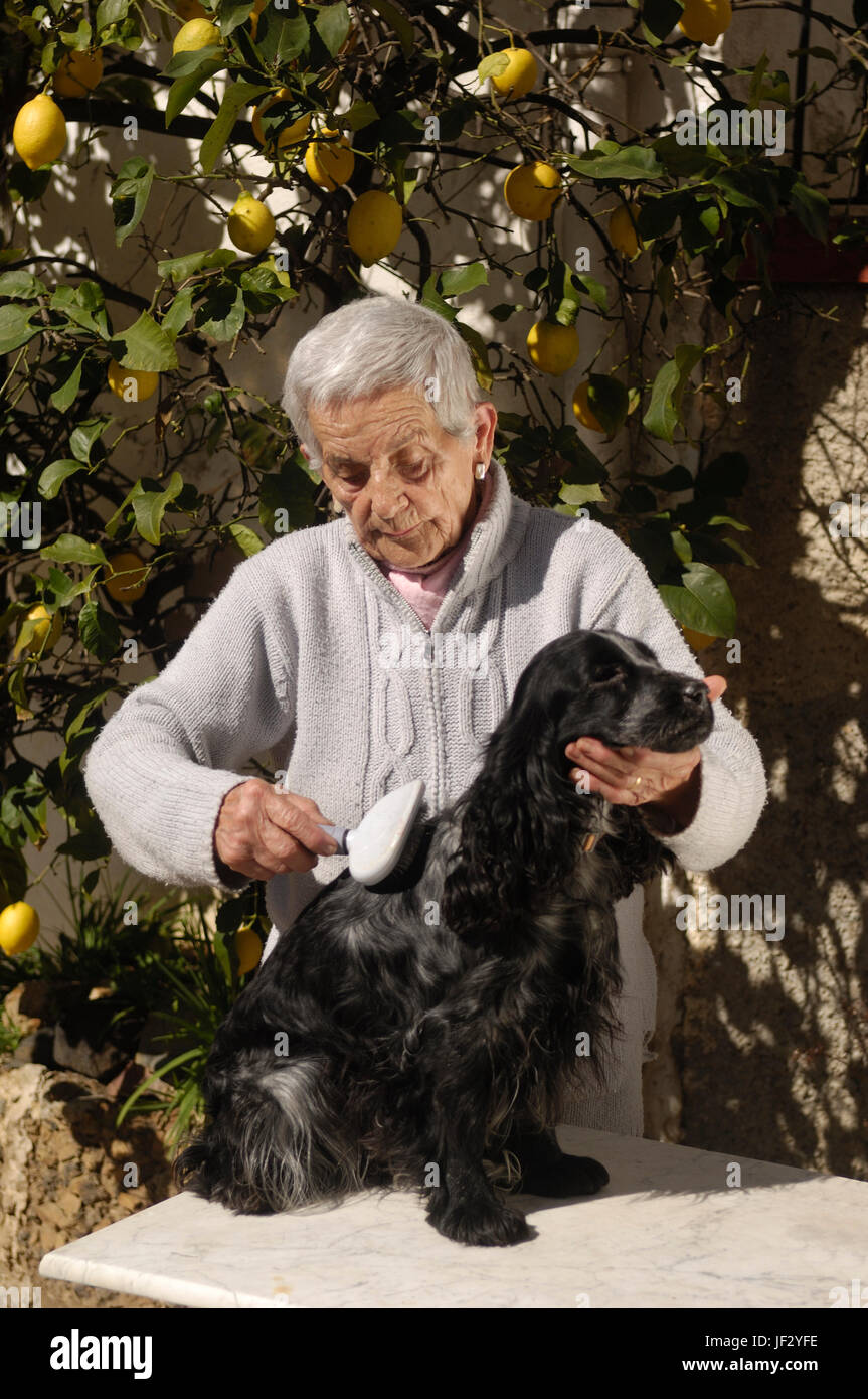 old woman and dog Stock Photo - Alamy