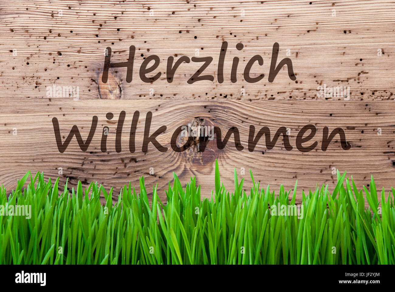Bright Wooden Background, Gras, Herzlich Willkommen Means Welcome Stock ...