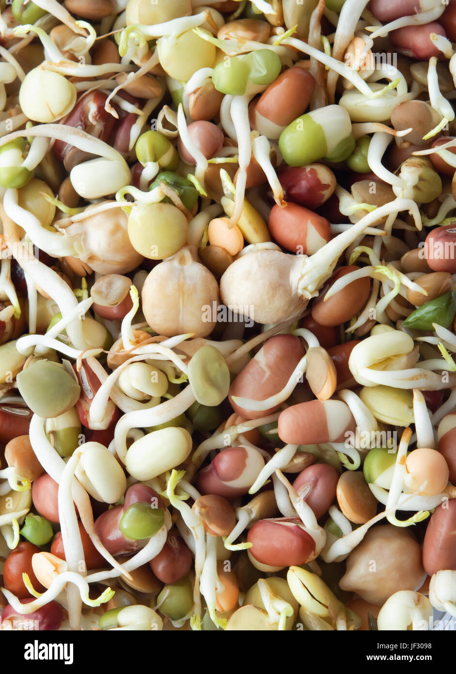 Adzuki bean sprouts hi-res stock photography and images - Alamy