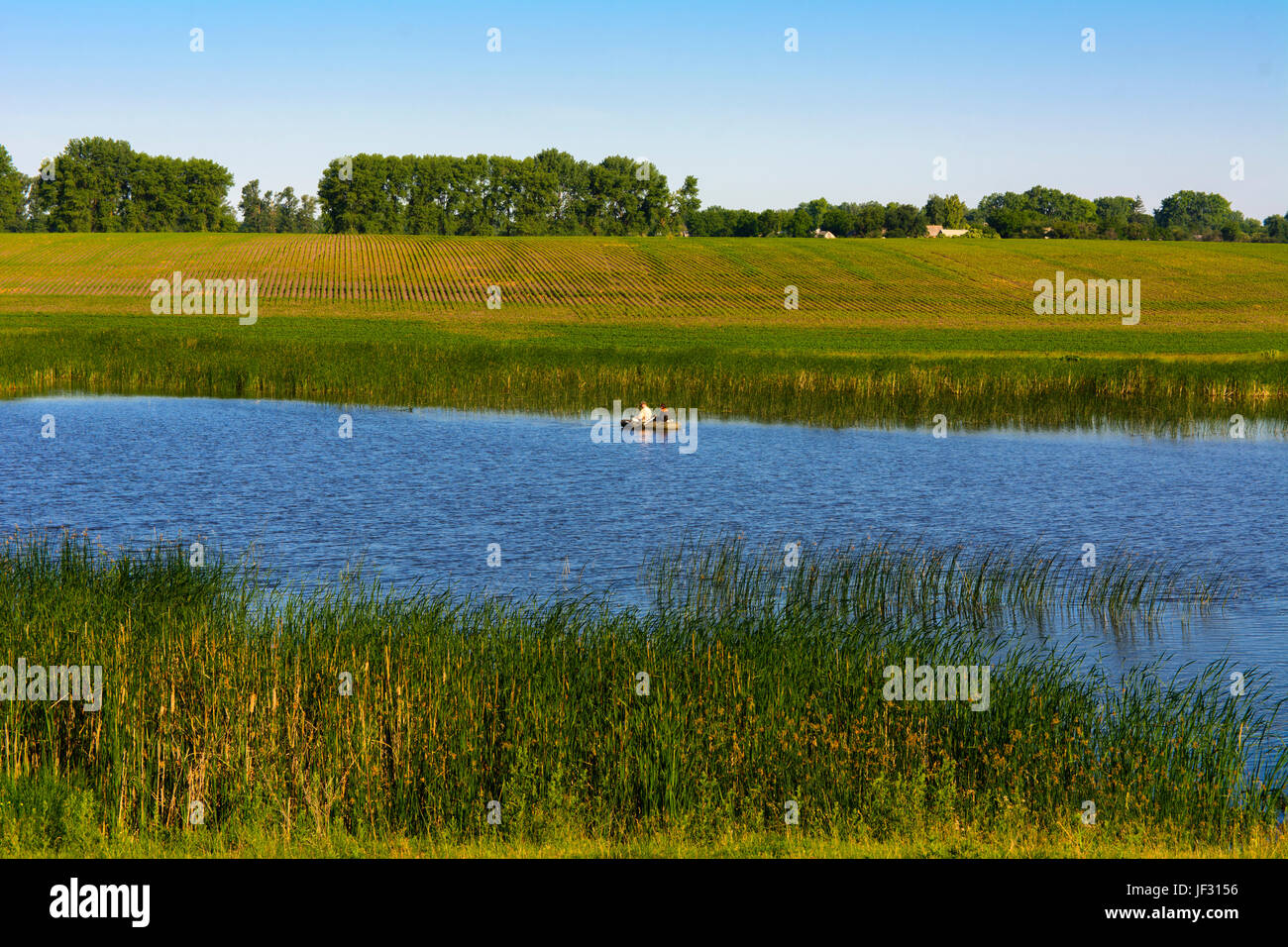 A beautiful lake for breeding fish. Magnificent view of the lake Stock ...