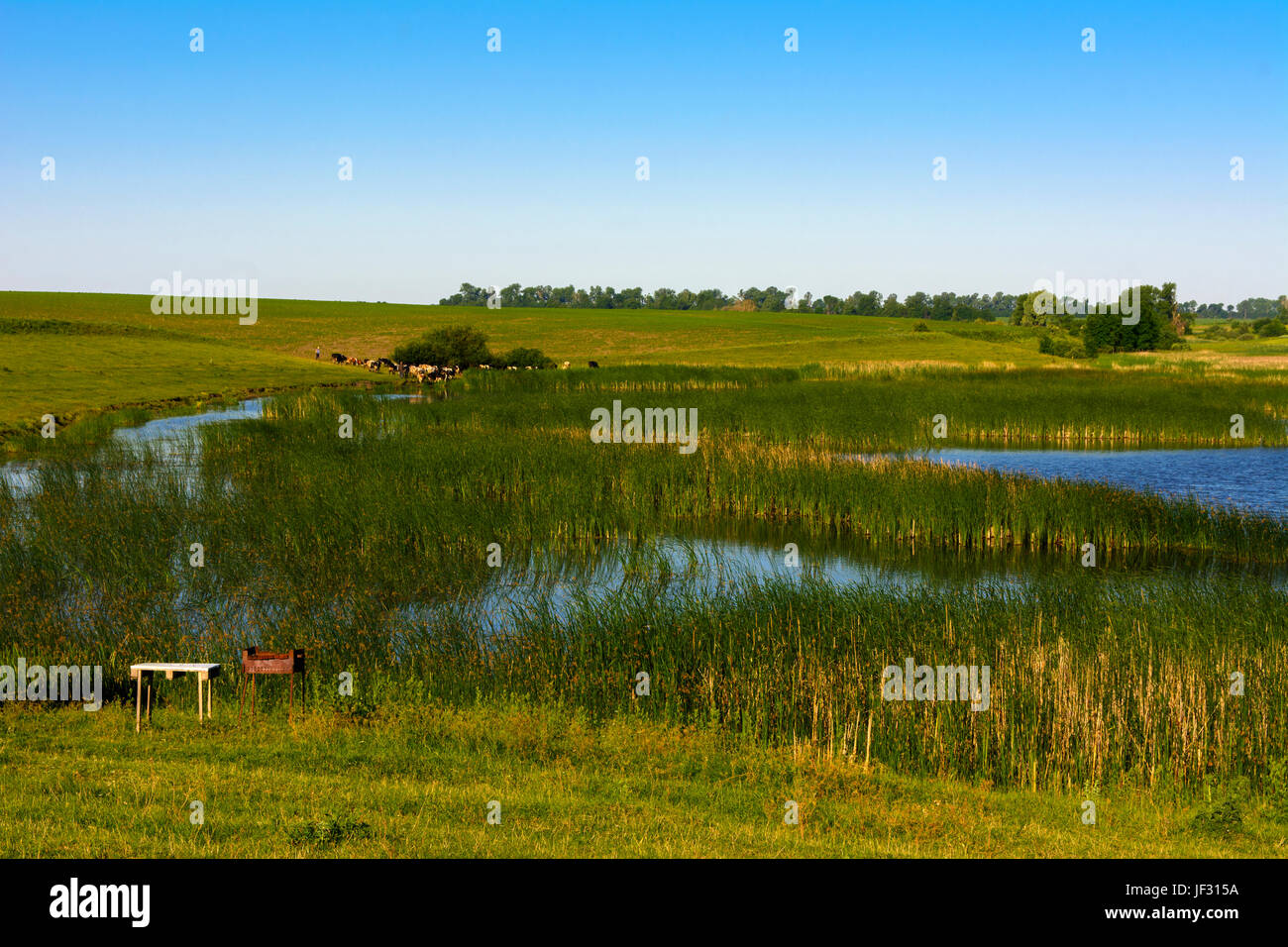A beautiful lake for breeding fish. Magnificent view of the lake Stock ...