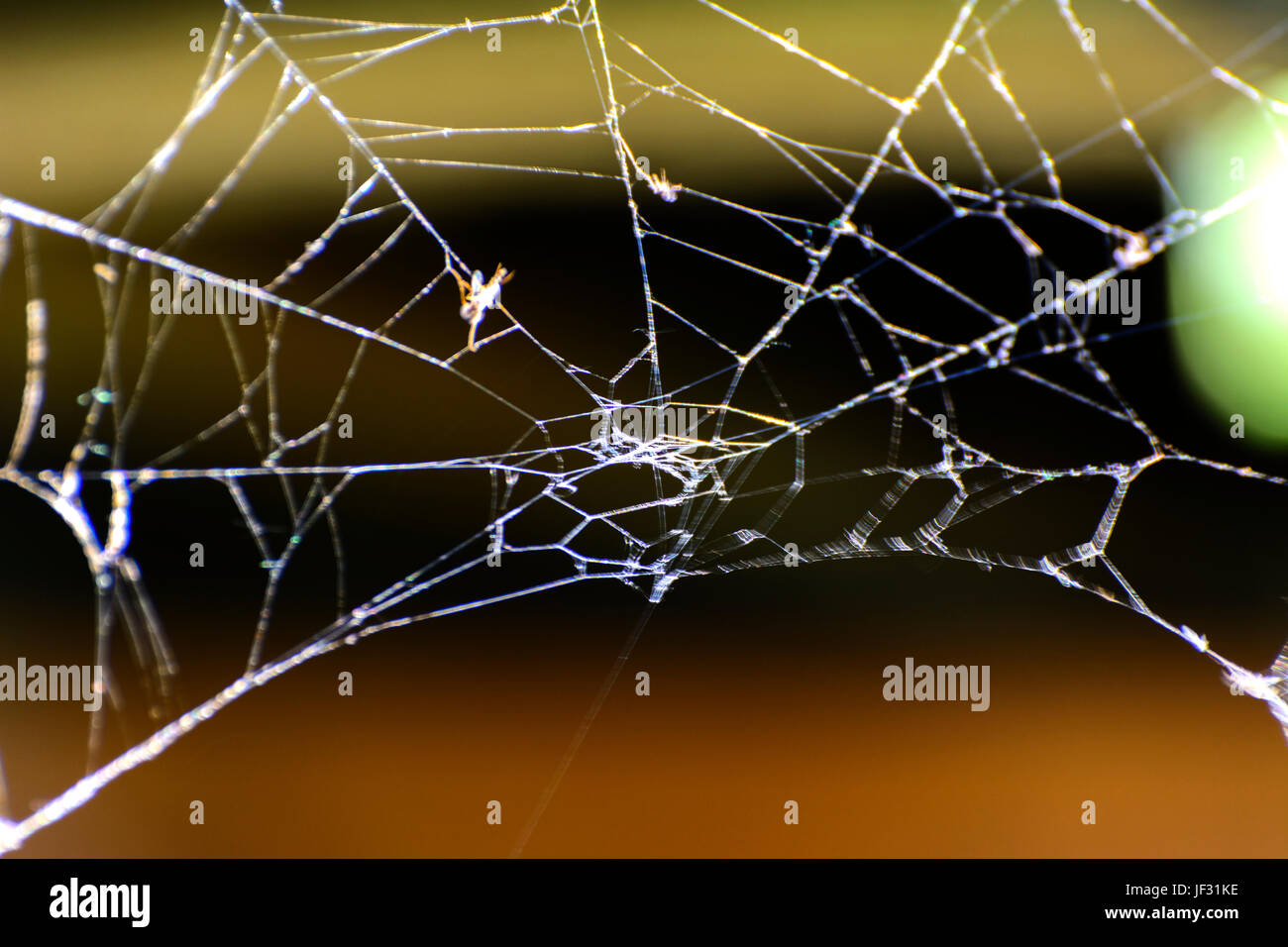 Nature communications abstract hi-res stock photography and images - Alamy