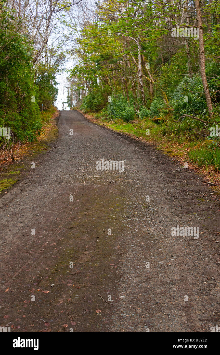 Ards forest park county donegal hi-res stock photography and images - Alamy