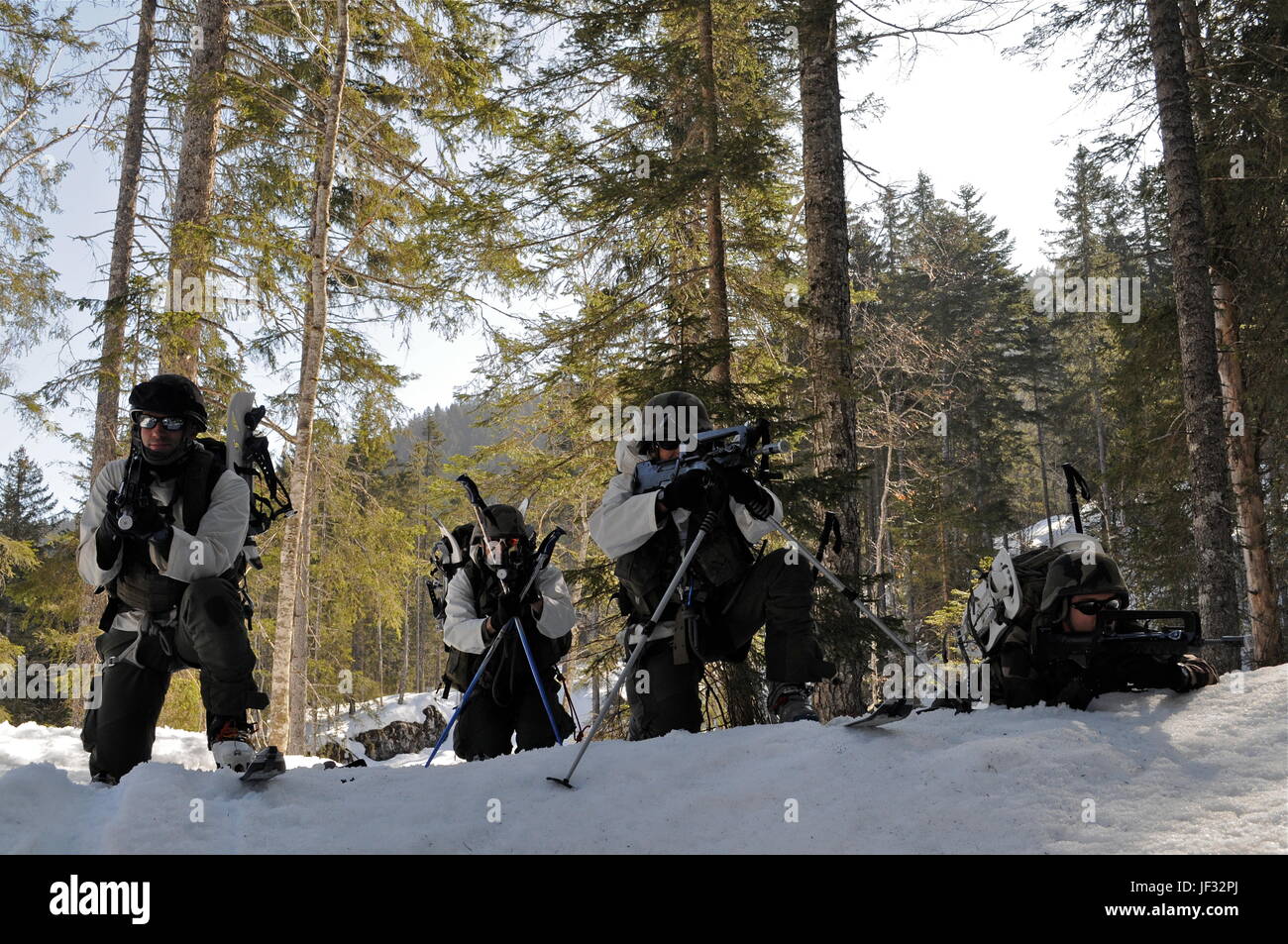 Young French officers take part to winter training in the Alps Stock ...