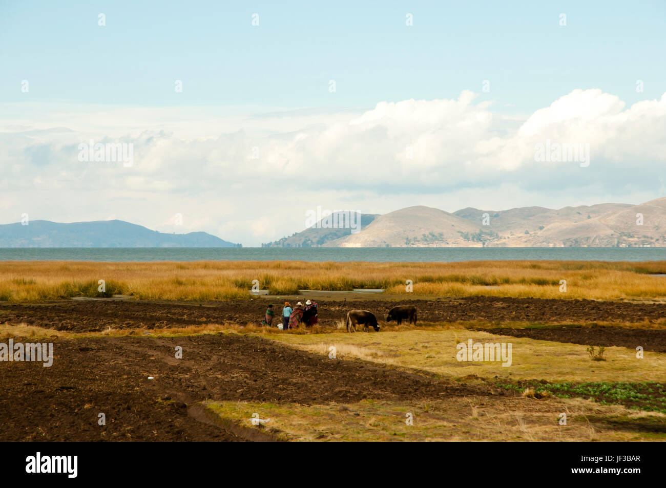 Farming peru hi-res stock photography and images - Alamy