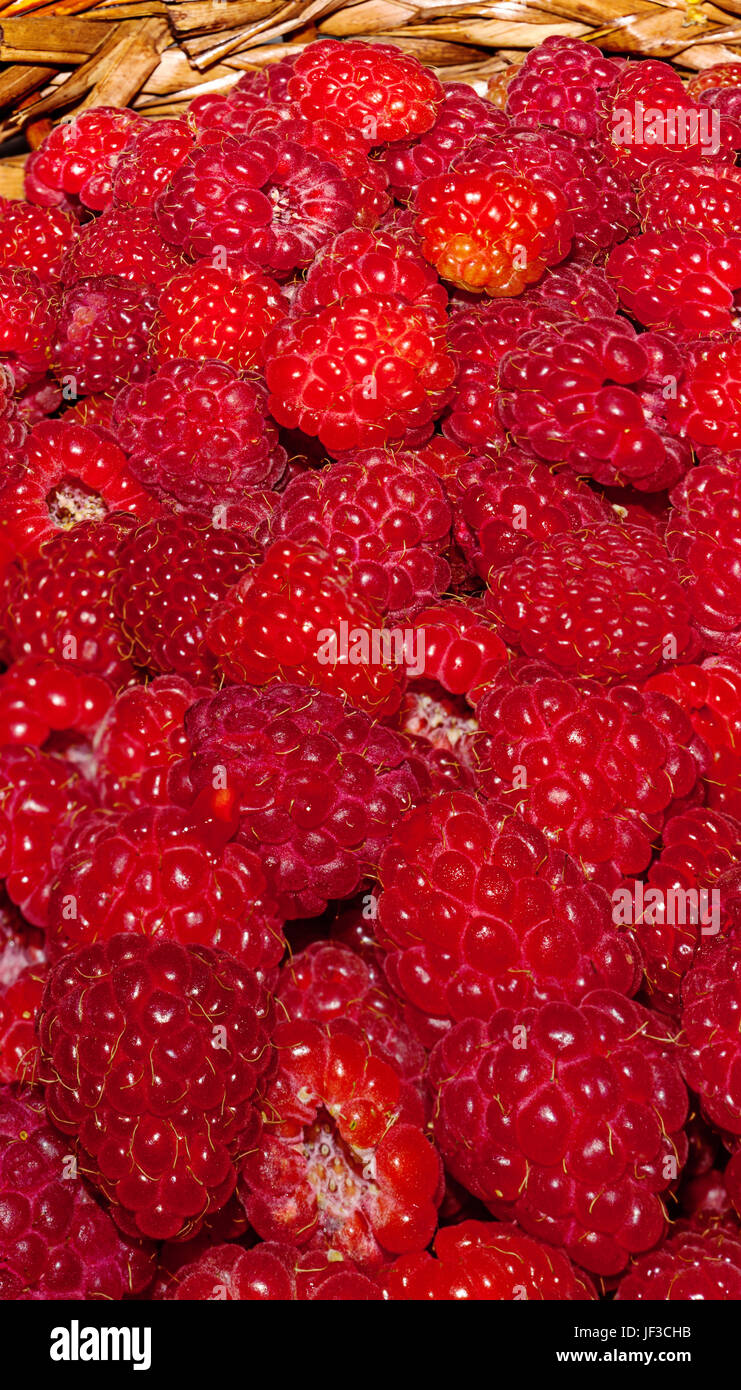 Collection organic fruits raspberries hi-res stock photography and ...