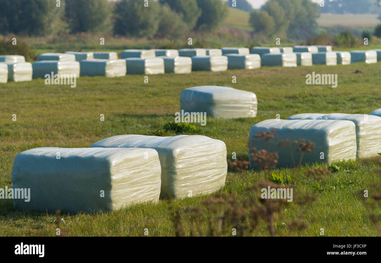 Embale hi-res stock photography and images - Alamy