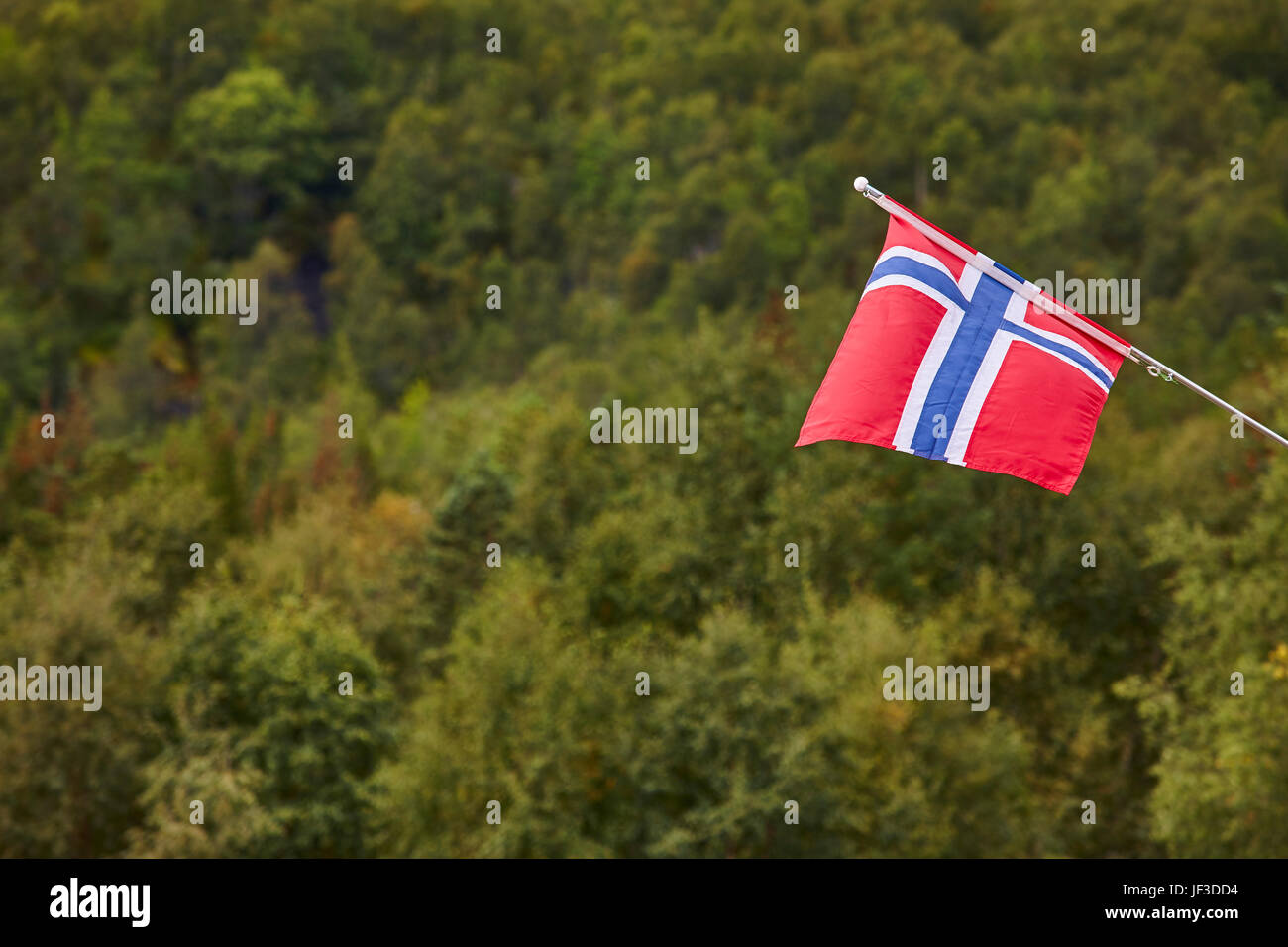 Norwegian flag with green forest landscape background. Norway symbol ...