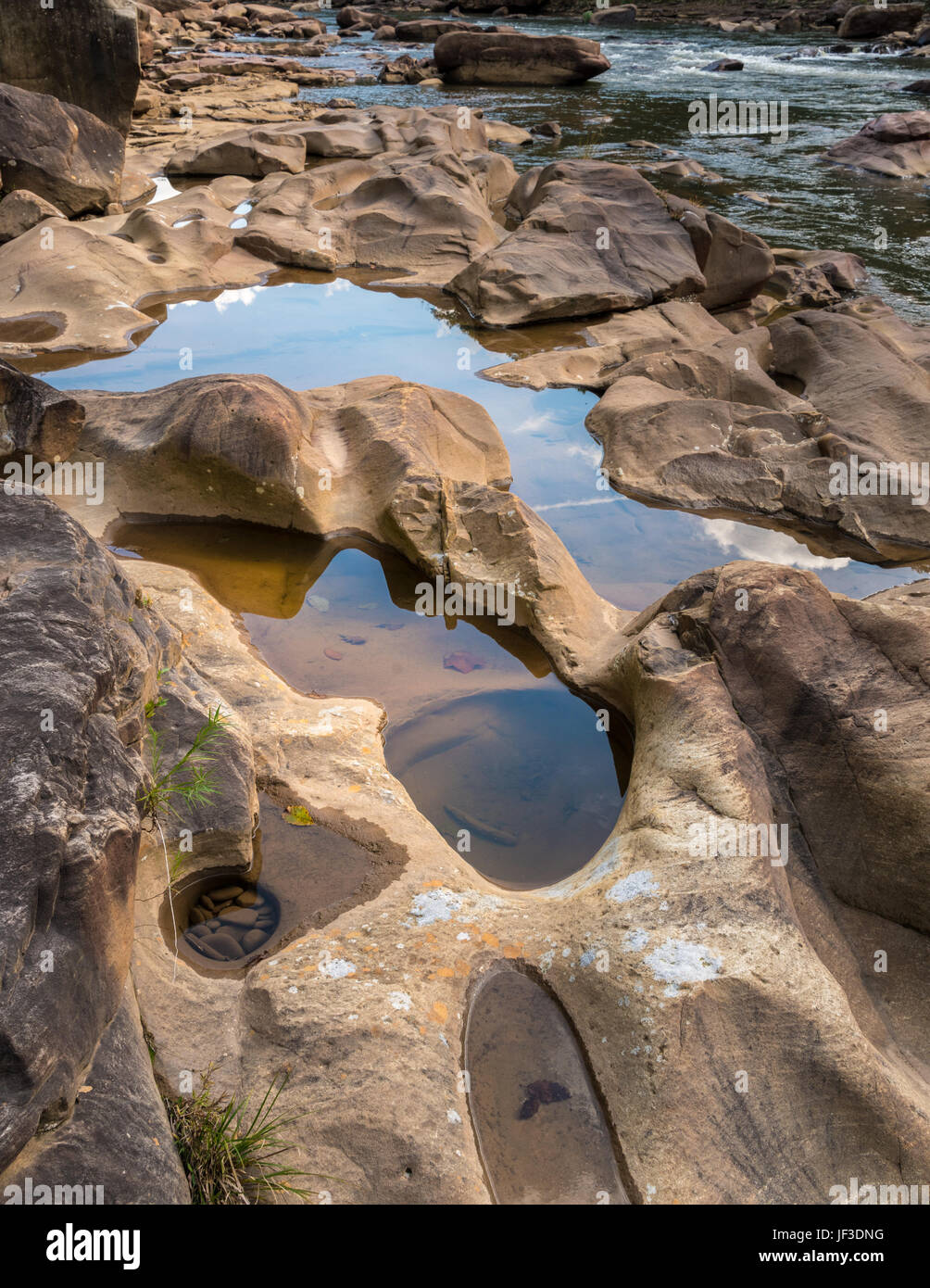 Cheat river west virginia hi-res stock photography and images - Alamy